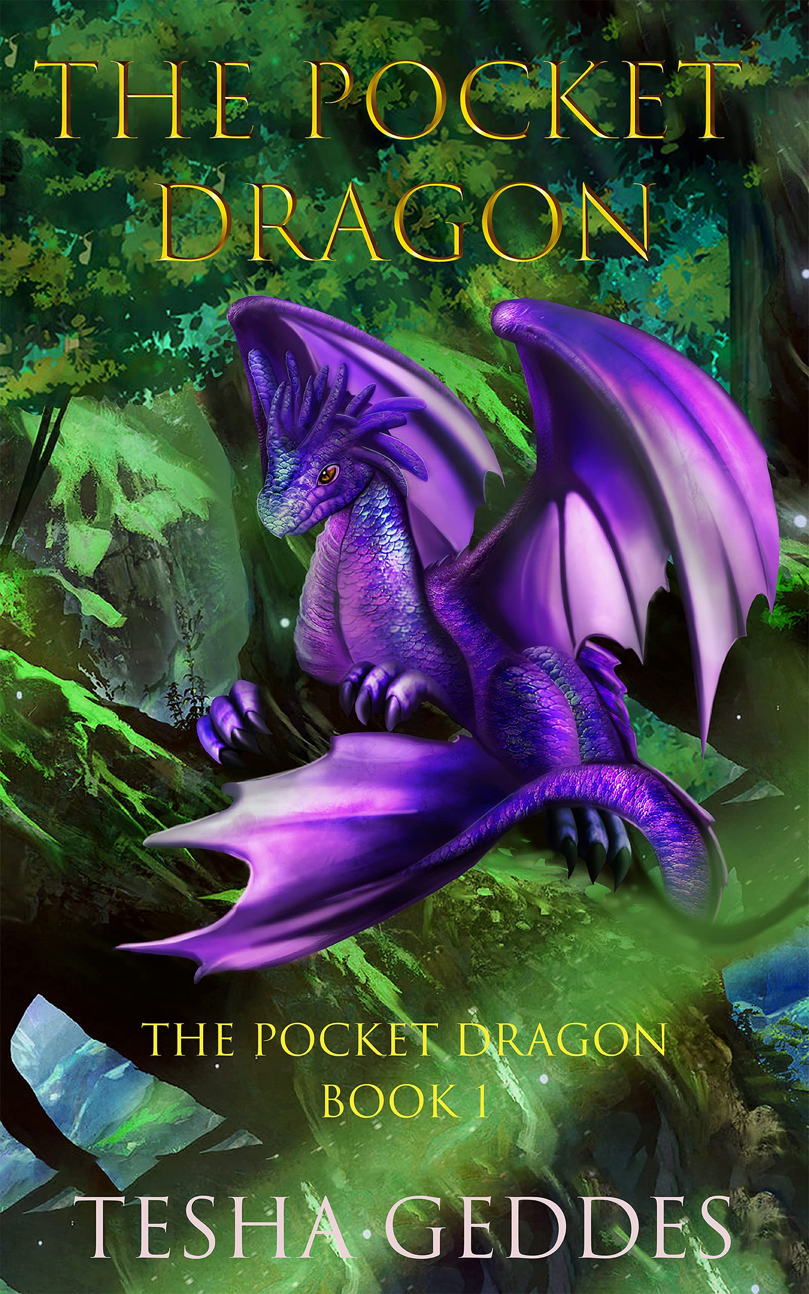 The Pocket Dragon: The Pocket Dragon: Book 1 by Tesha Geddes | Goodreads