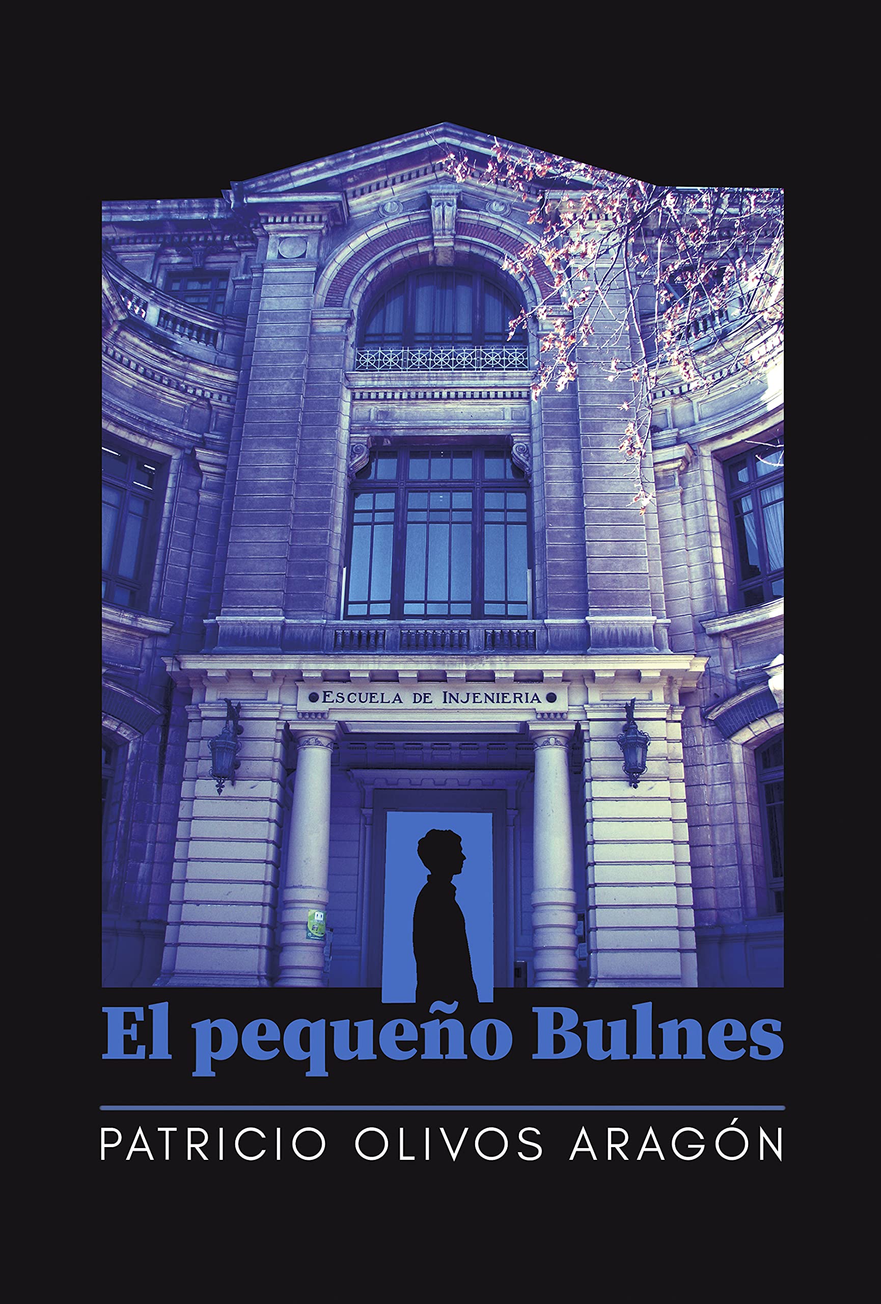 El pequeño Bulnes (Spanish Edition) by Patricio Olivos Aragón | Goodreads