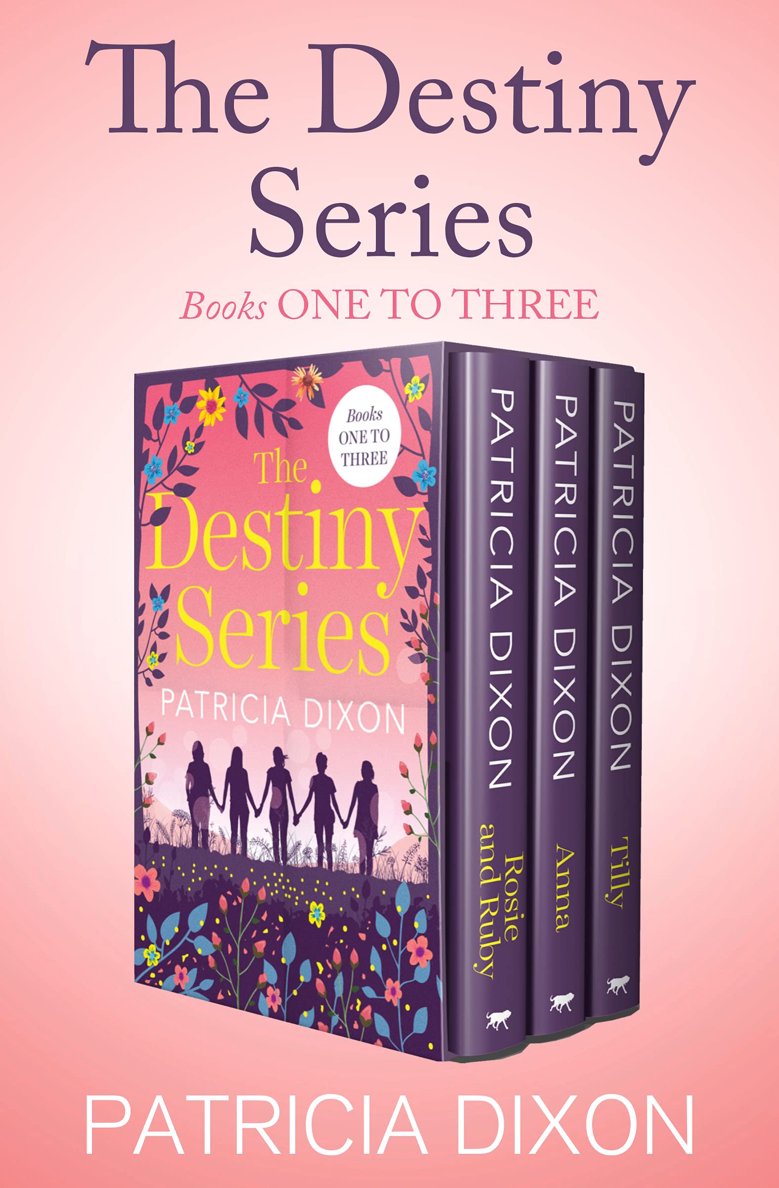 The Destiny Series Books One to Three: Rosie and Ruby, Anna, and Tilly ...