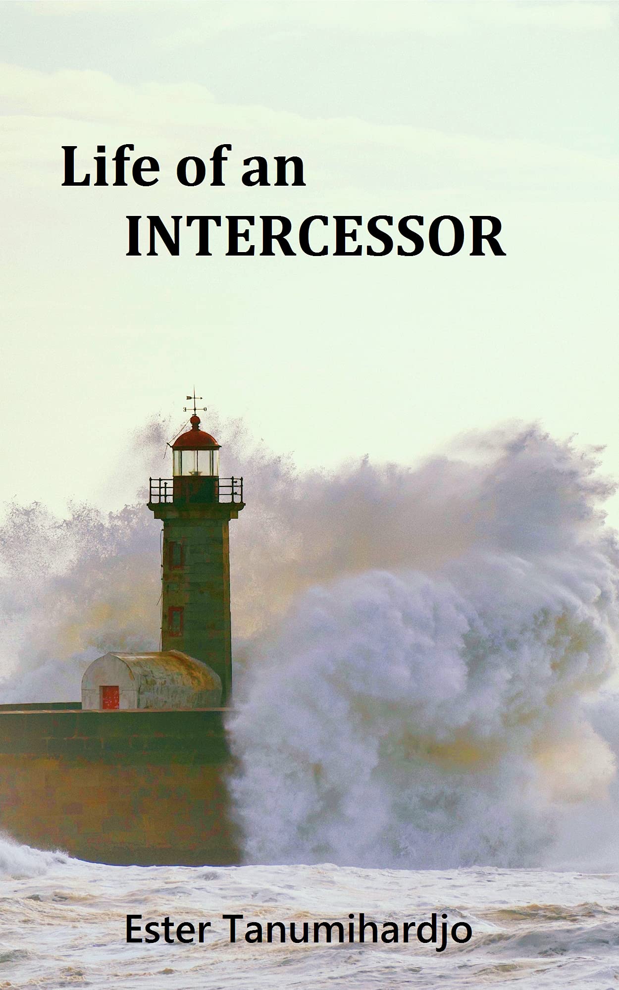 Life of an Intercessor by Ester Tanumihardjo | Goodreads
