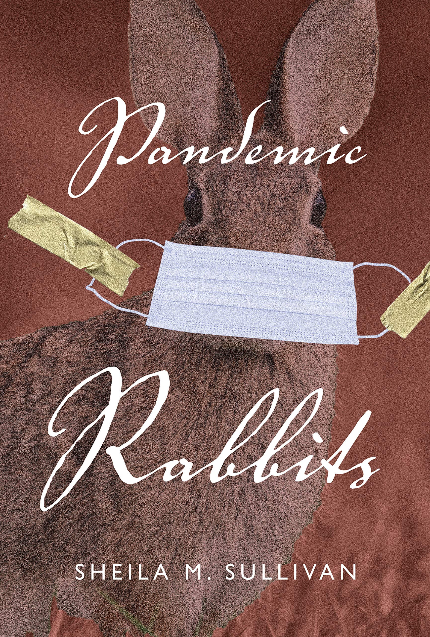 Pandemic Rabbits: An F.O.K. Novella by Sheila M Sullivan | Goodreads