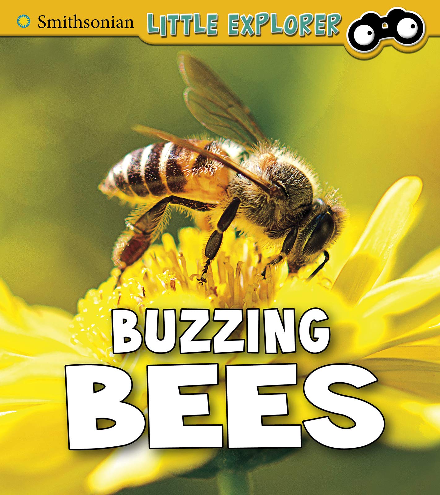 Buzzing Bees by Melissa Higgins | Goodreads