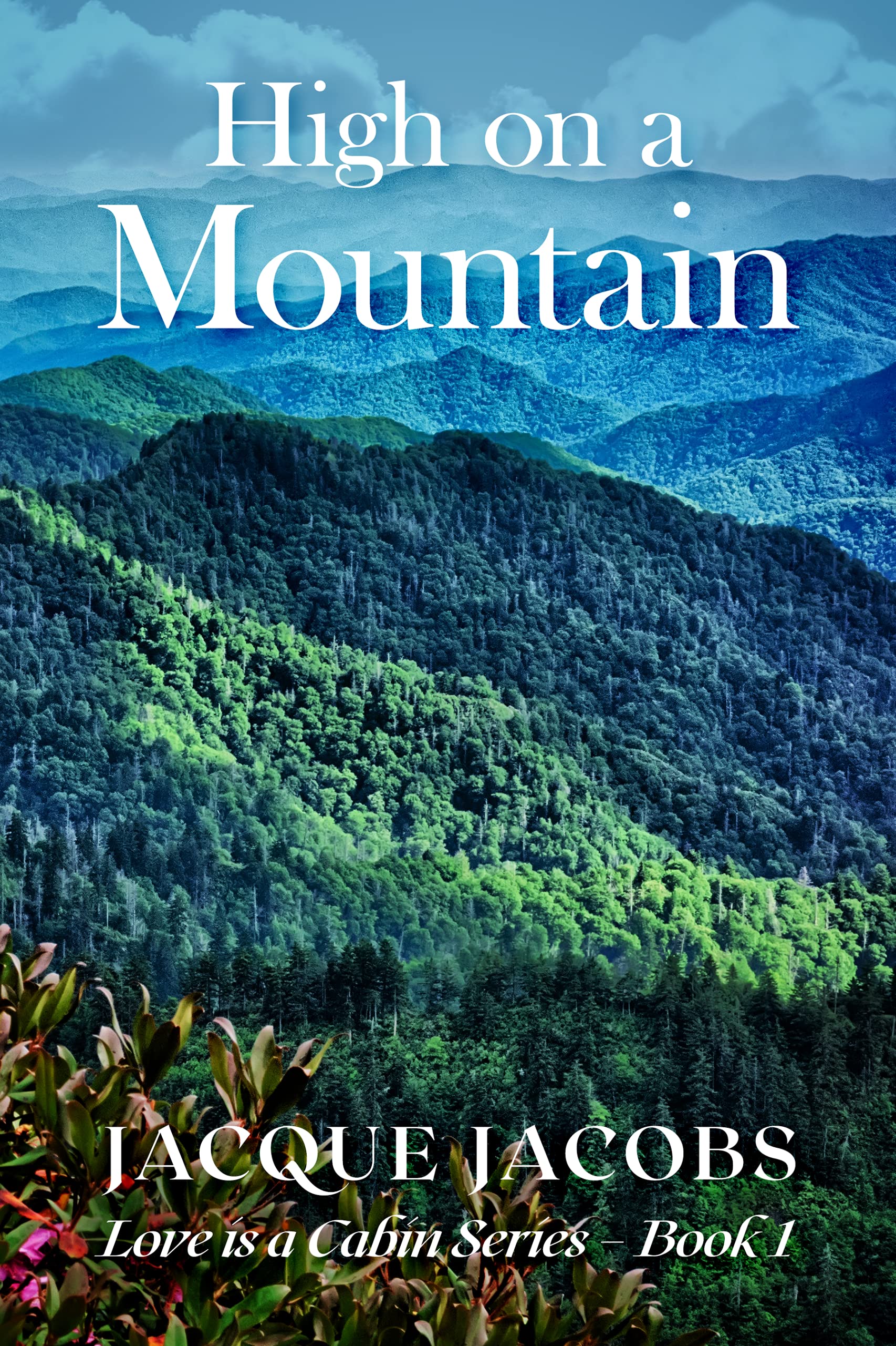 High on a Mountain (Love is a Cabin Book 1) by Jacque Jacobs | Goodreads