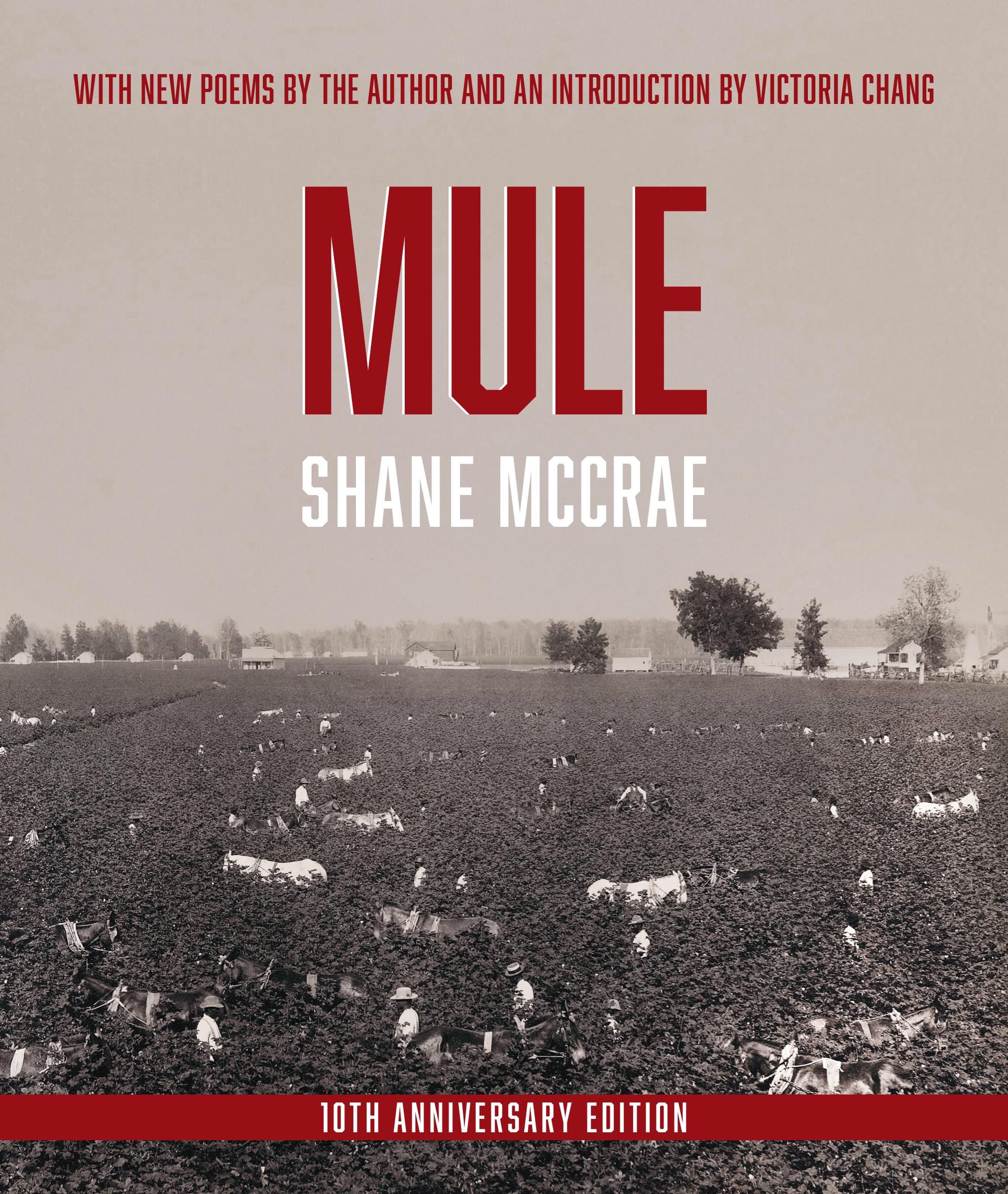 Mule by Shane McCrae | Goodreads