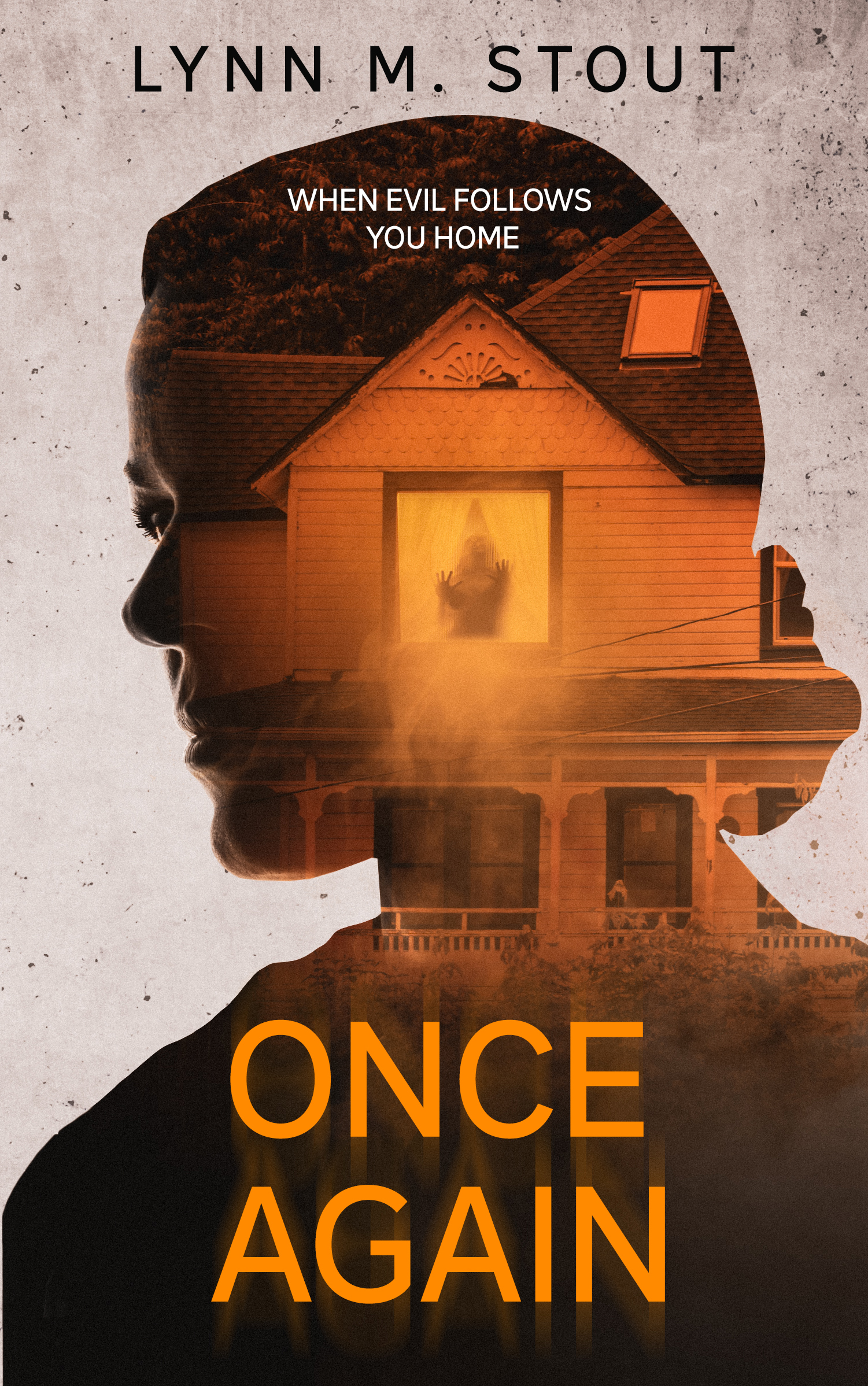 Once Again (When Evil Follows You Home, #3) by Lynn M. Stout | Goodreads