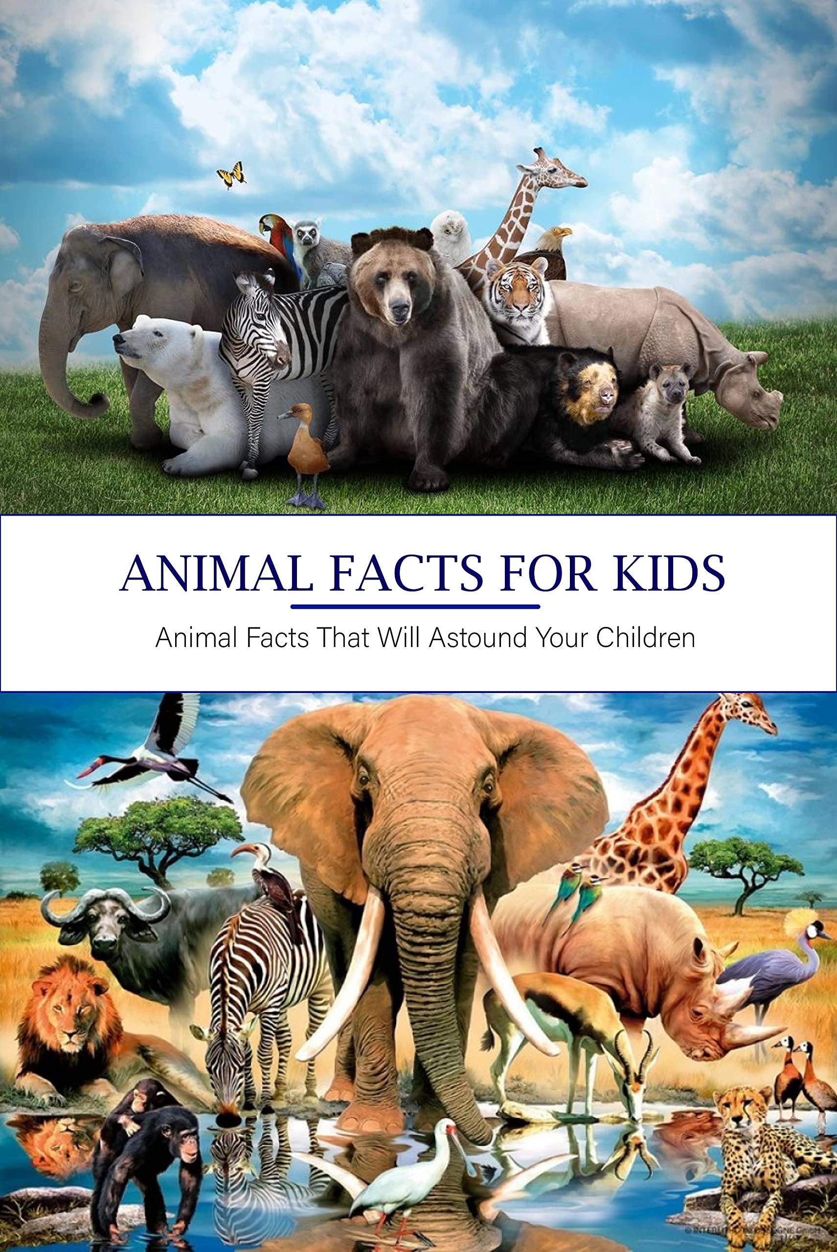 Animal Facts for Kids: Animal Facts That Will Astound Your Children ...
