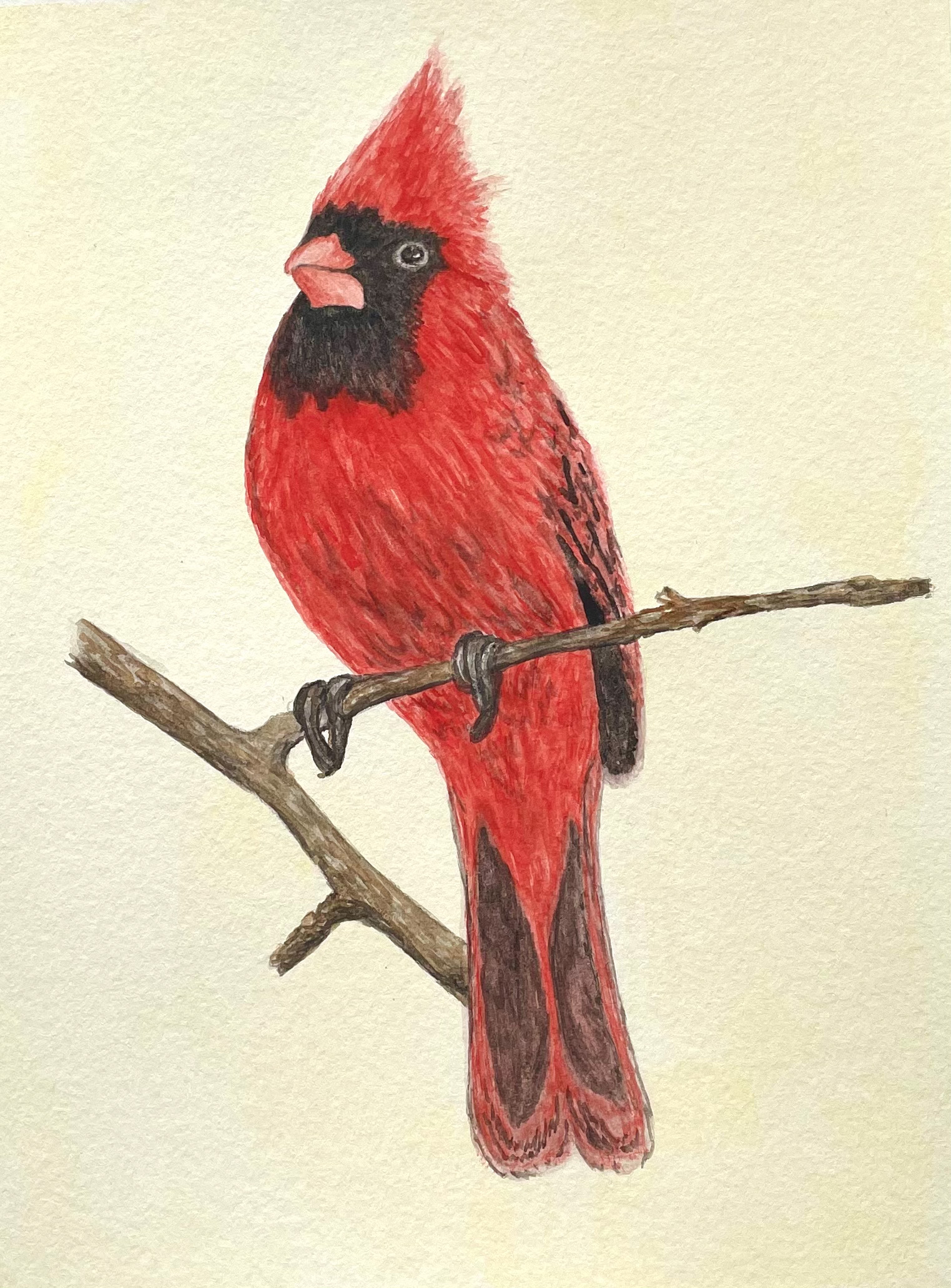 Synesthesia by Alexander Duncan | Goodreads