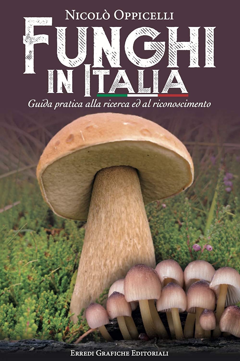 Funghi in Italia, guida pratica alla ricerca e al riconoscimento by ...