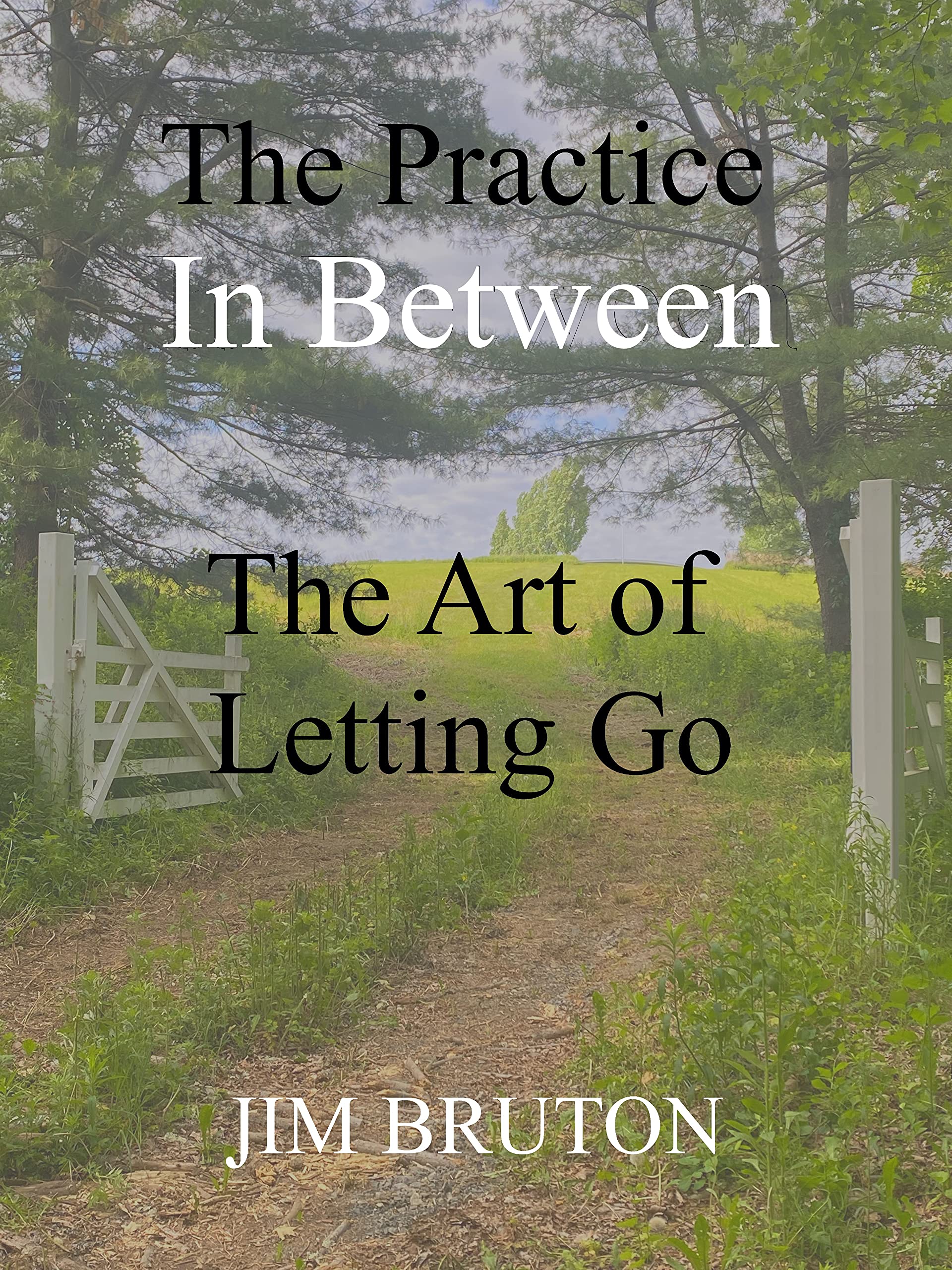 The Practice In Between: The Art of Letting Go by Jim Bruton | Goodreads