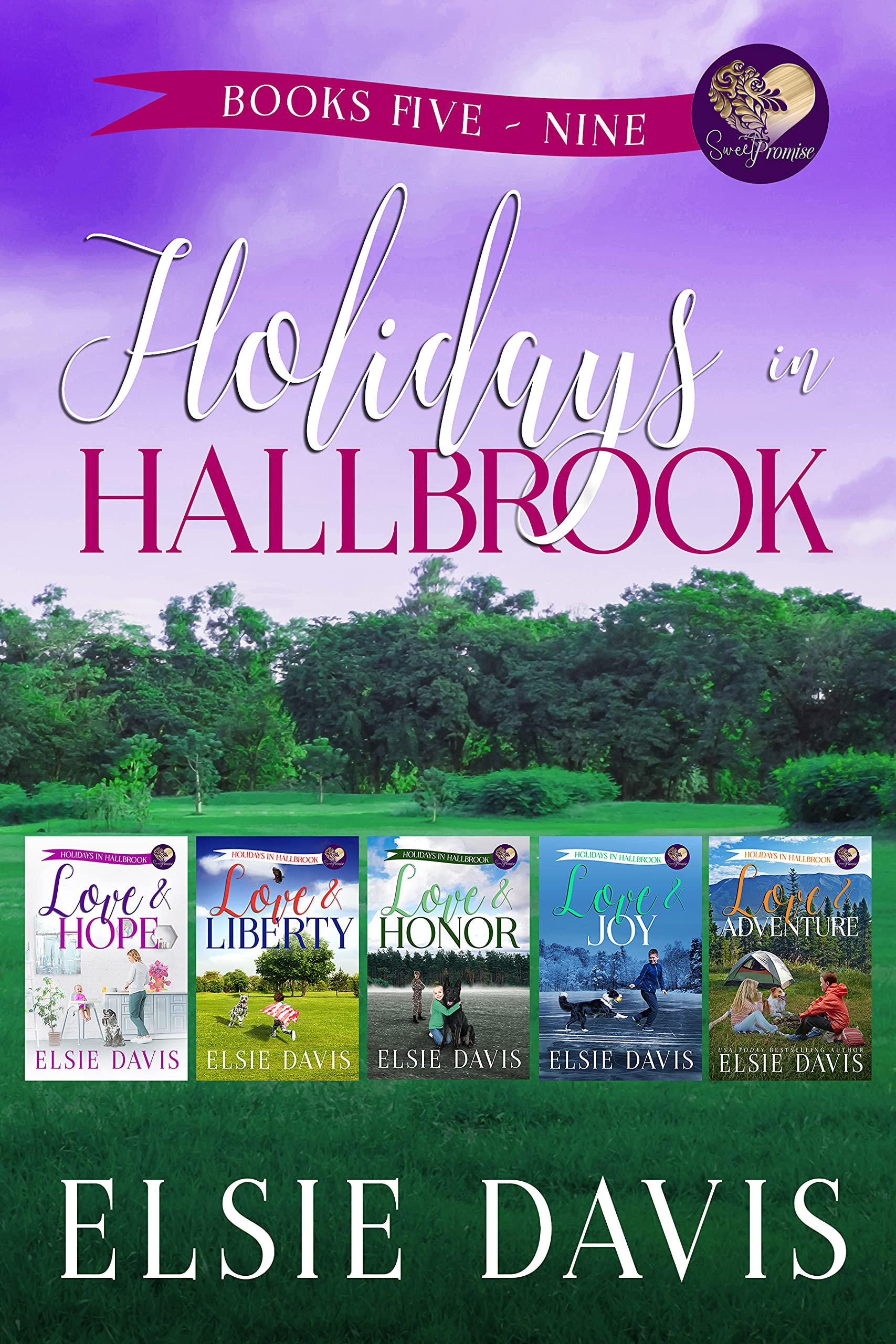 Holidays in Hallbrook, Books 5-9 by Elsie Davis | Goodreads