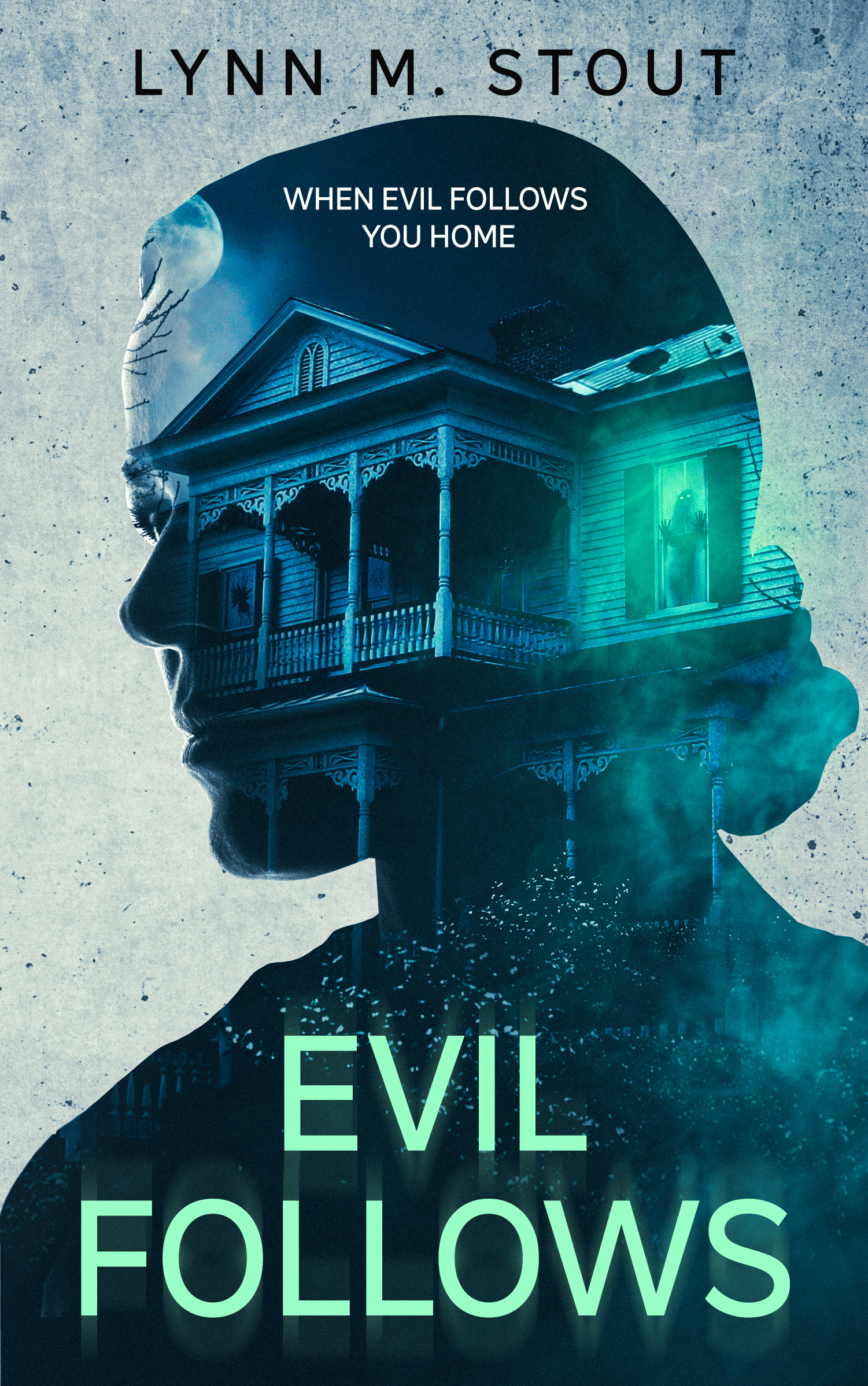 Evil Follows (When Evil Follows You Home, #1) by Lynn M. Stout | Goodreads
