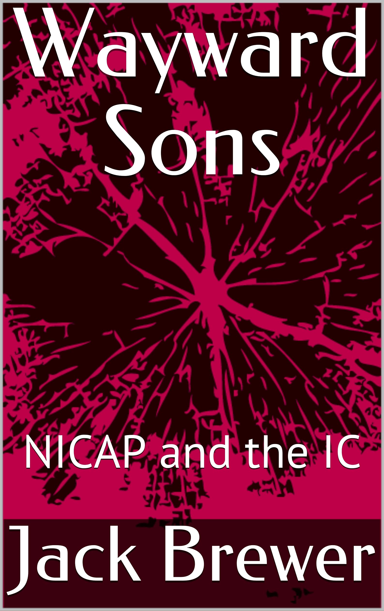 Wayward Sons: NICAP and the IC by Jack Brewer | Goodreads