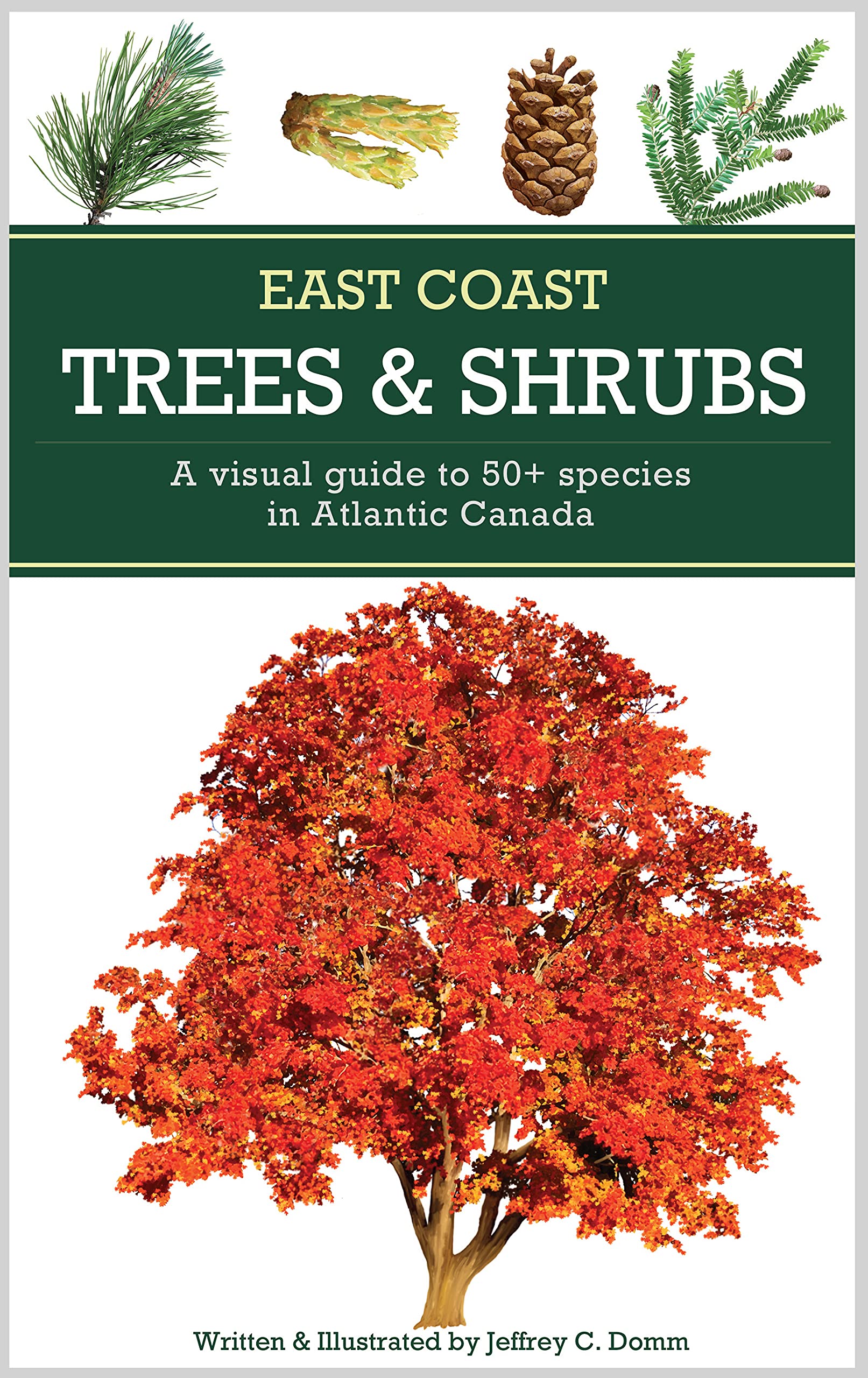 East Coast Trees & Shrubs: A visual guide to 50+ species in Atlantic ...