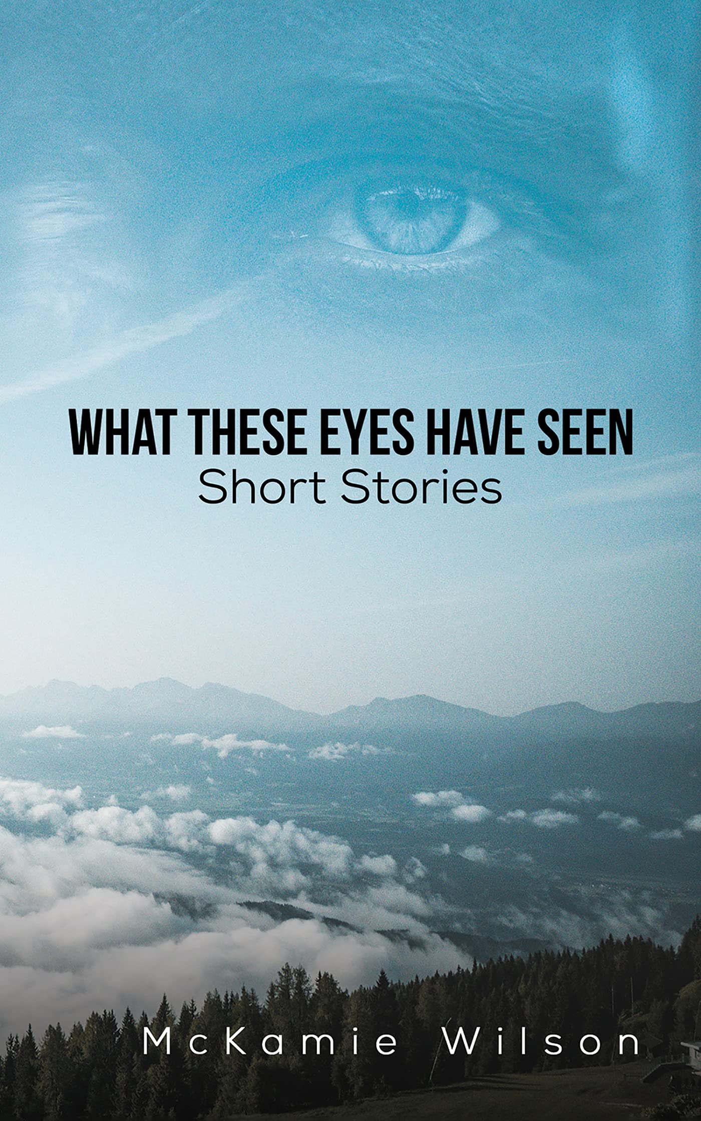 What These Eyes Have Seen: Short Stories by McKamie Wilson by McKamie ...
