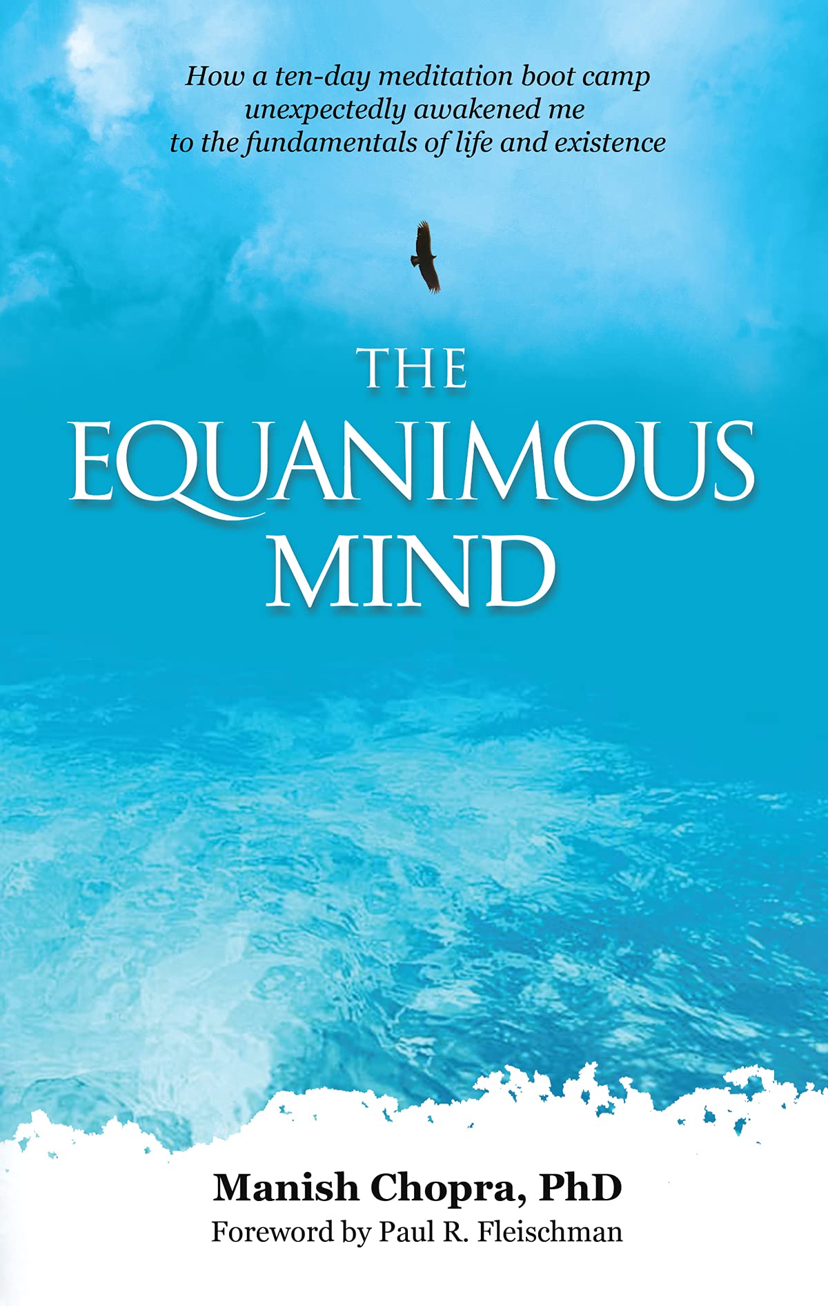 The Equanimous Mind: How a ten-day meditation boot camp unexpectedly ...