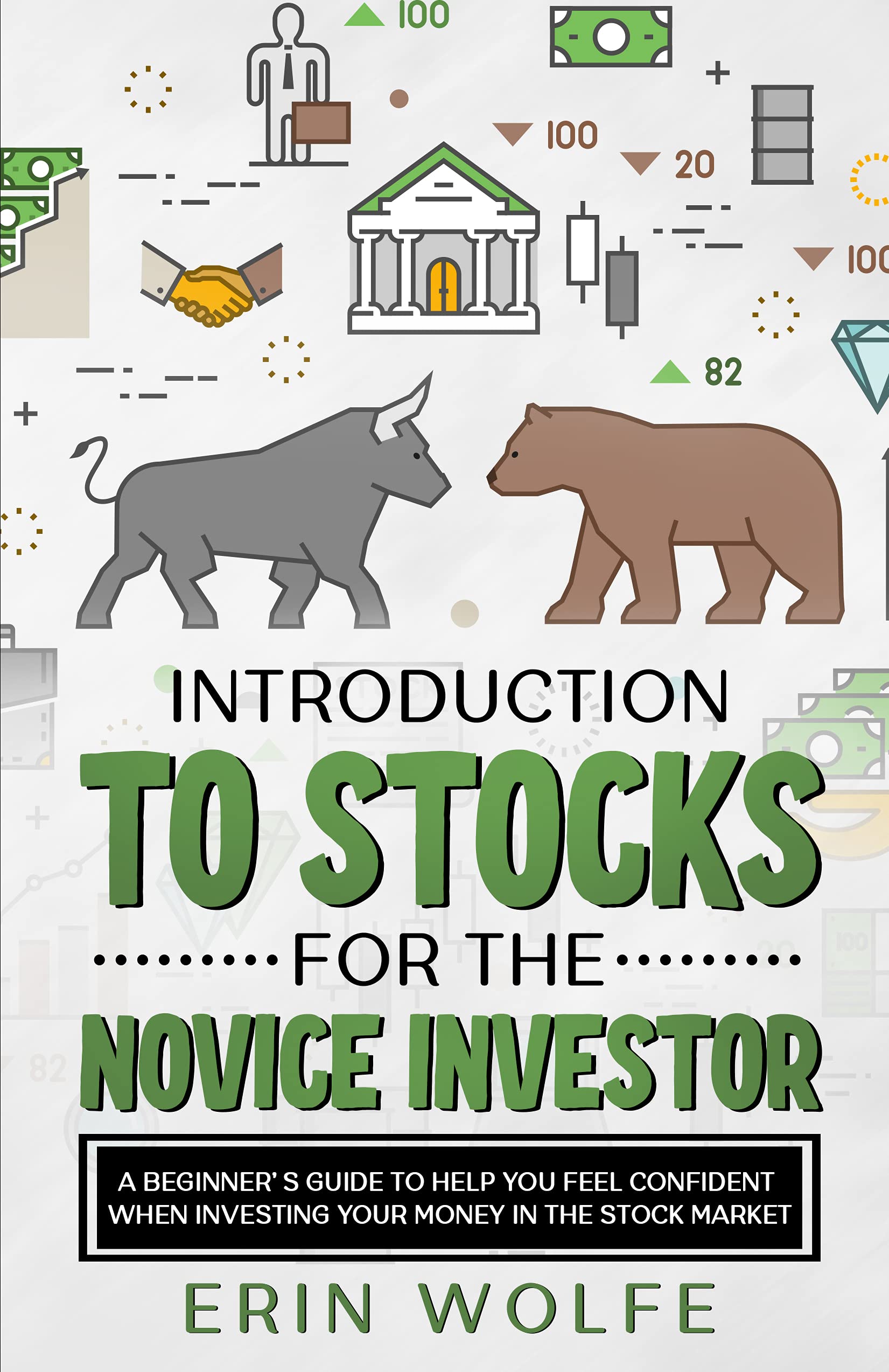 Introduction to Stocks for the Novice Investor: A Beginner’s Guide to ...
