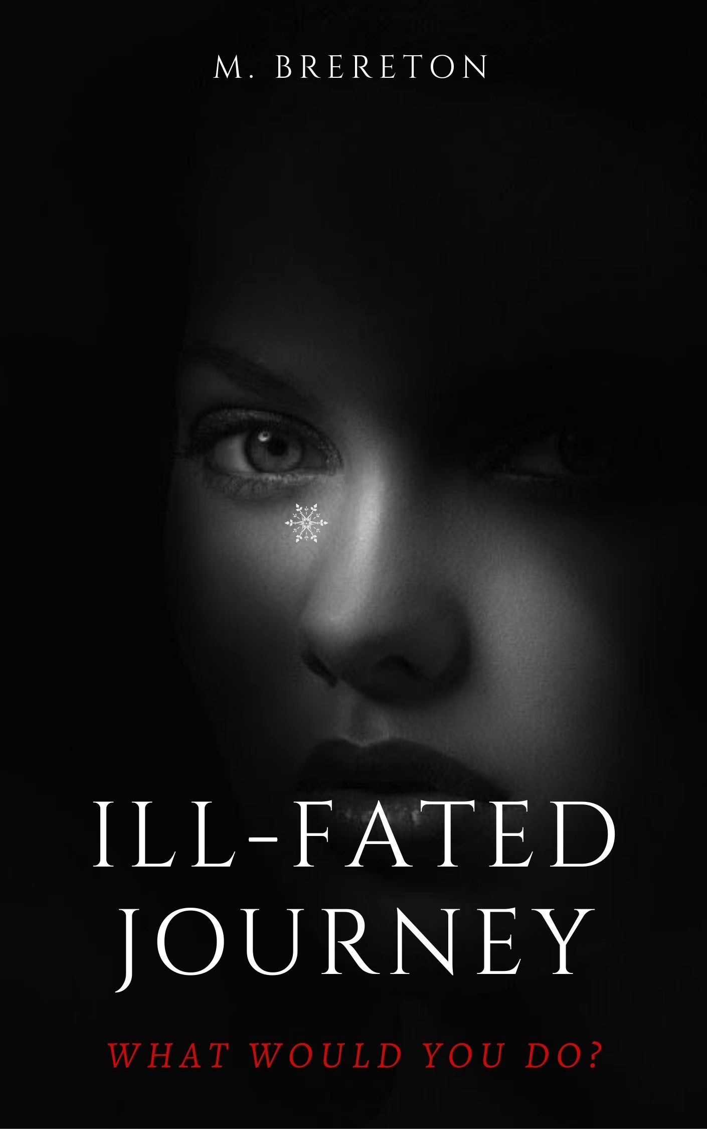 Ill-Fated Journey by M. Brereton | Goodreads