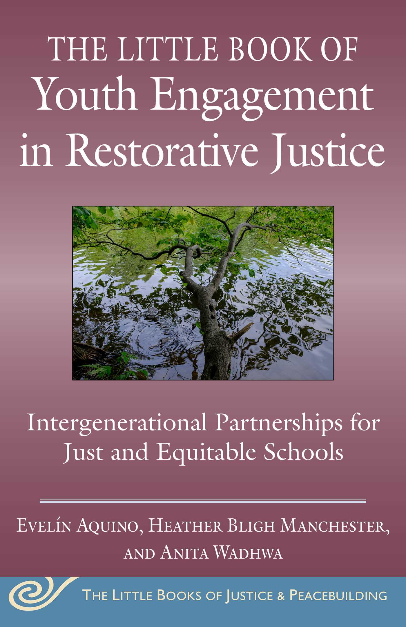 The Little Book of Youth Engagement in Restorative Justice ...