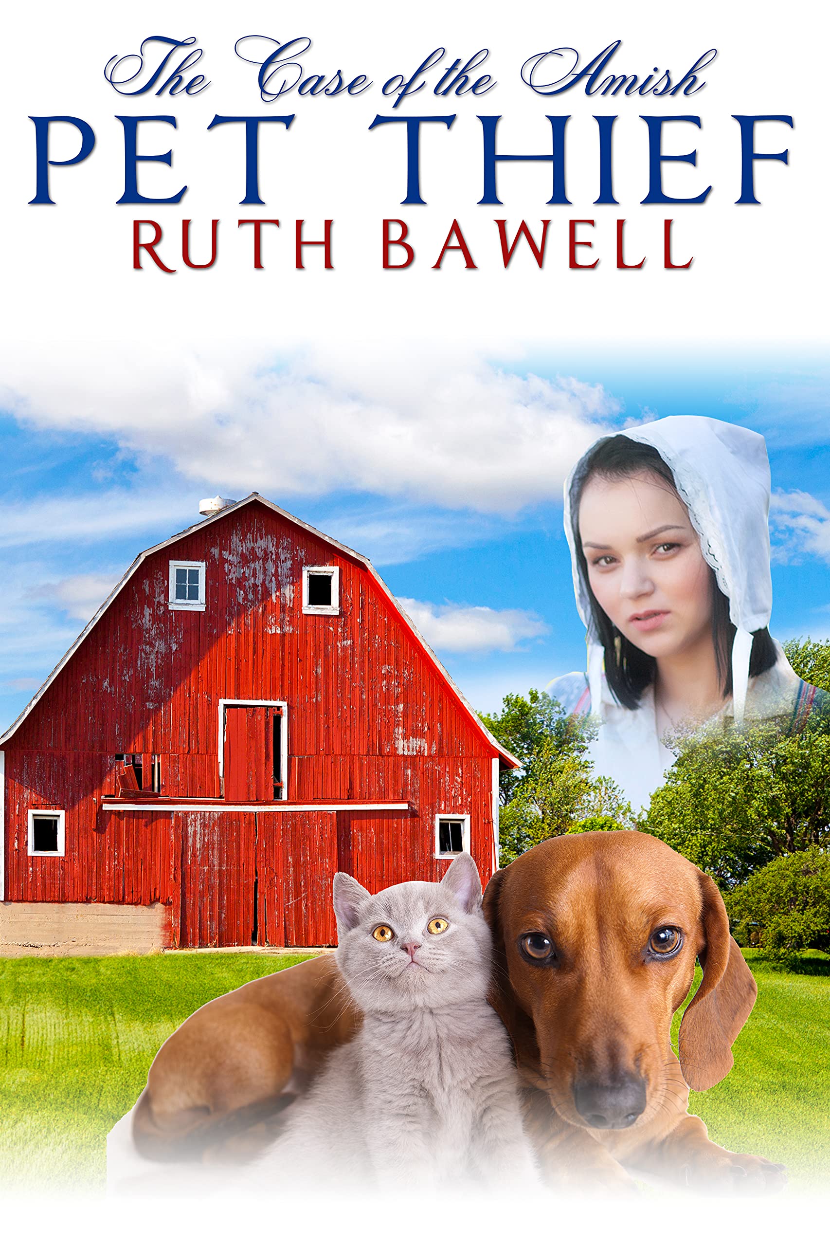 The Case of the Amish Pet Thief by Ruth Bawell | Goodreads