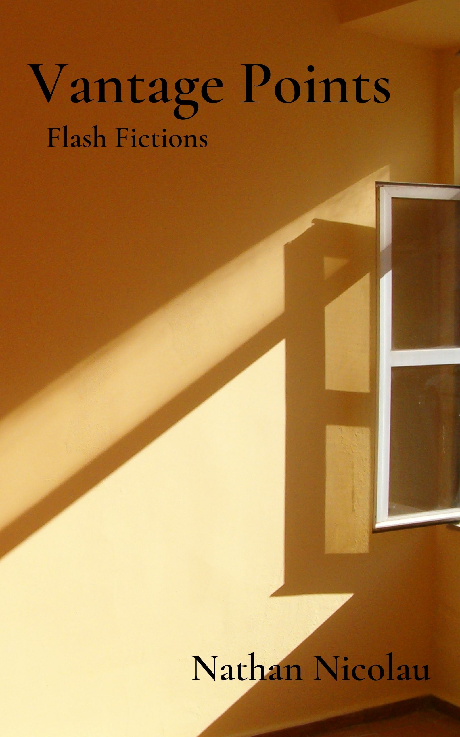 Vantage Points: Flash Fictions by Nathan Nicolau | Goodreads