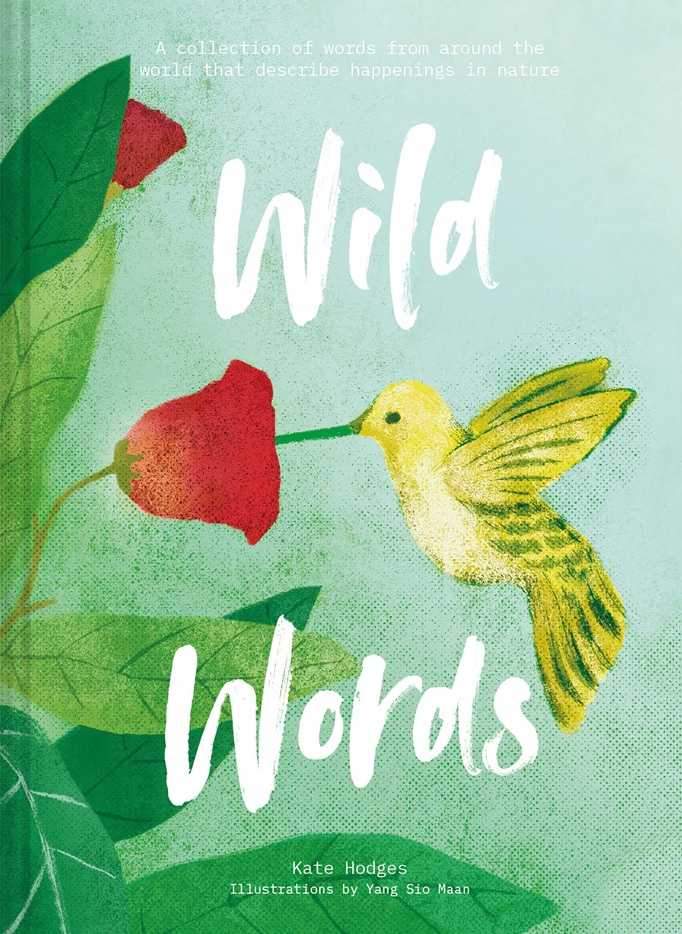 Wild Words: A collection of words from around the world that describe ...