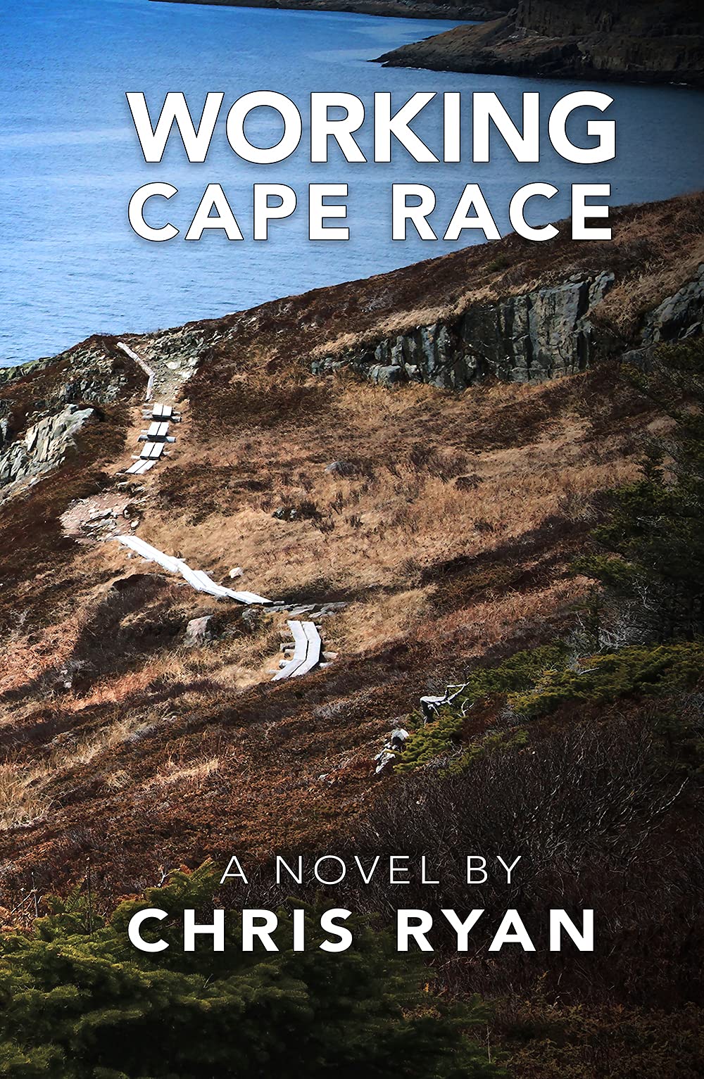 Working Cape Race by Chris Ryan | Goodreads
