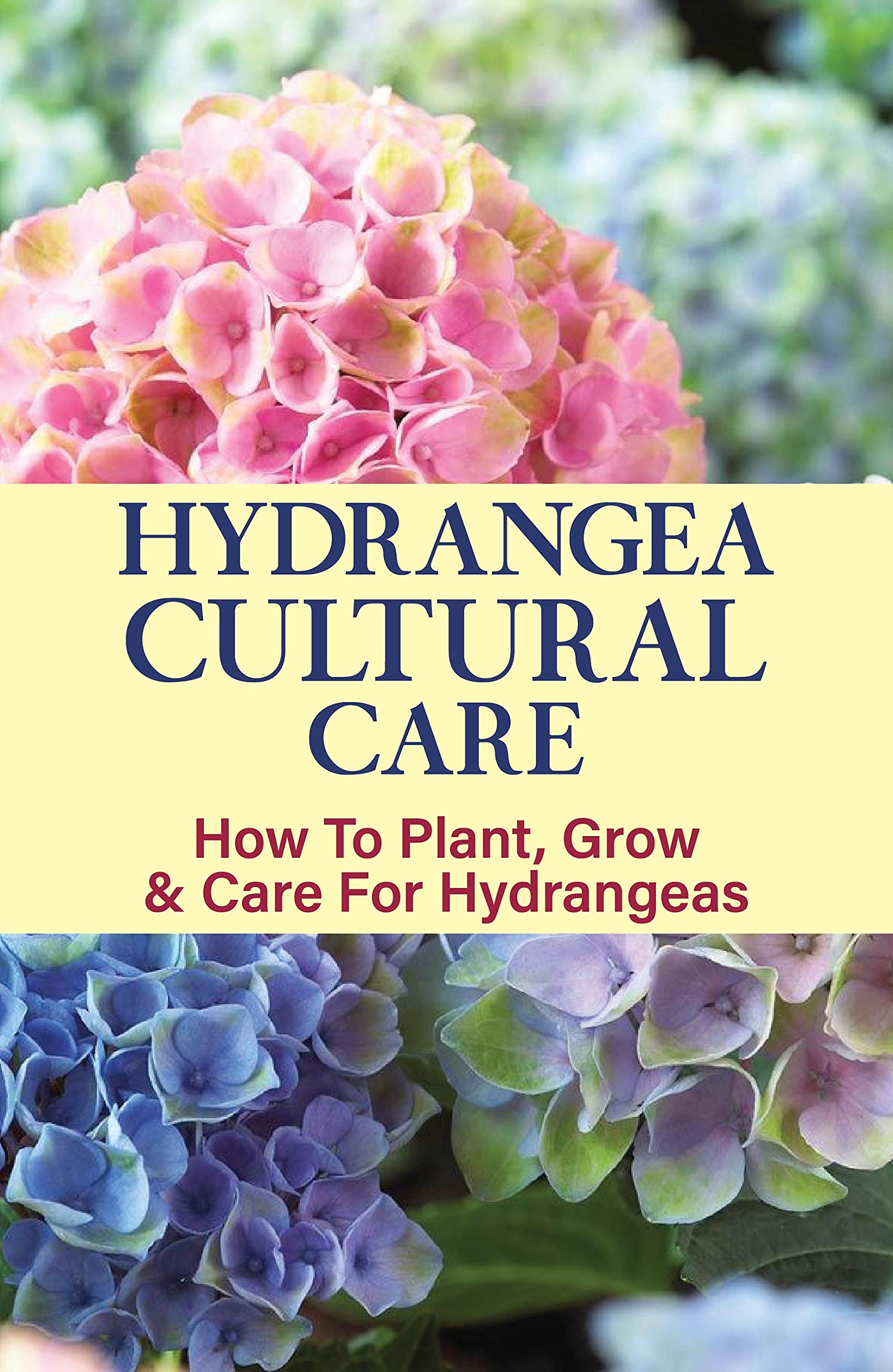 Hydrangea Cultural Care: How To Plant, Grow & Care For Hydrangeas: Hydrangea Flower Care Guide ...