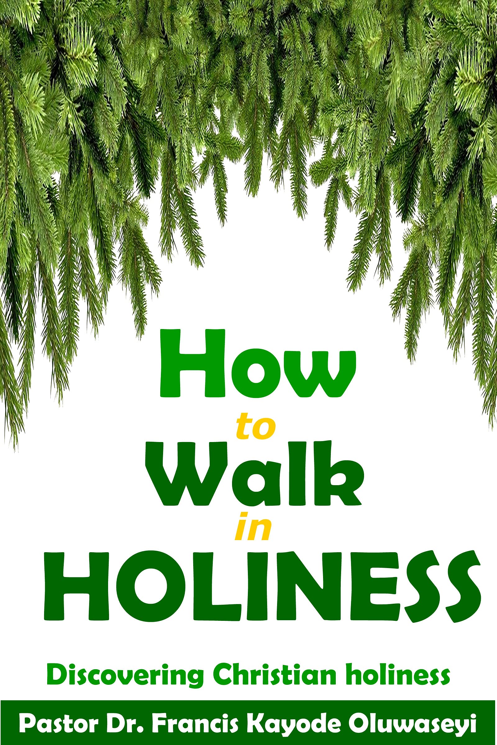 How to Walk in Holiness: Discovering Christian Holiness by Francis K ...