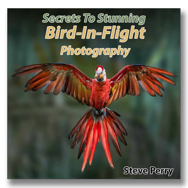 Secrets To Stunning Bird-In-Flight Photography by Steve Perry | Goodreads