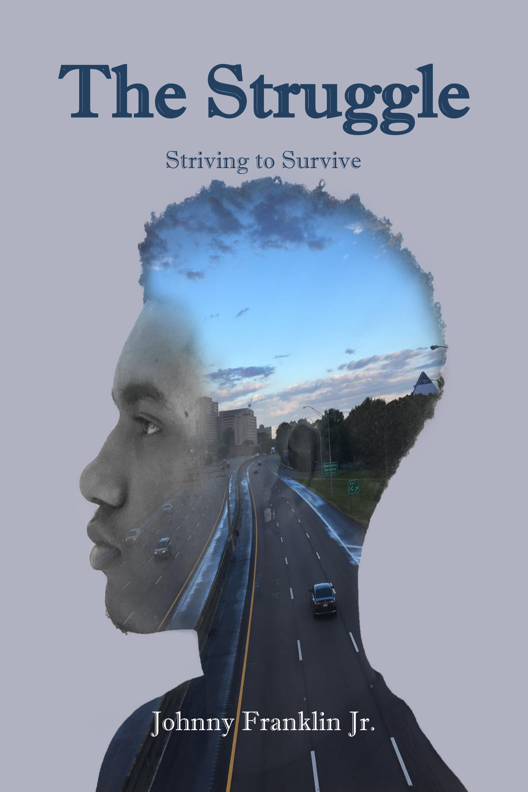 The Struggle: Striving to Survive by Johnny Franklin Jr. | Goodreads