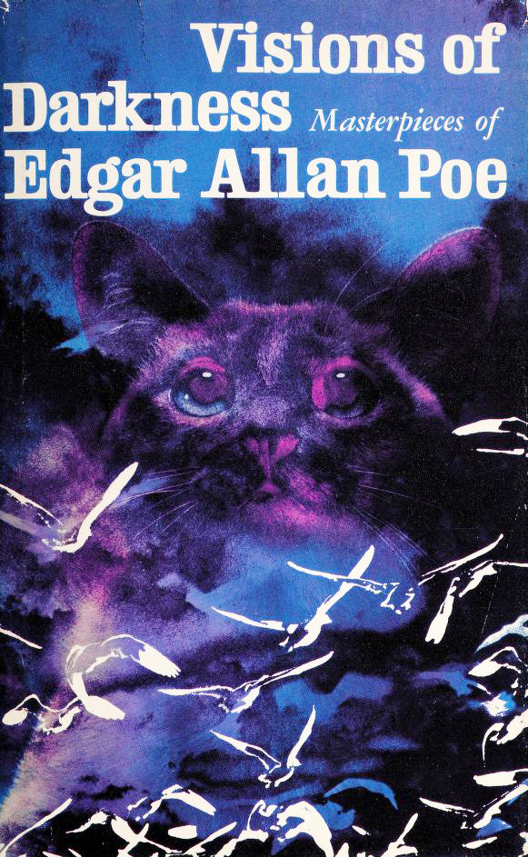 Visions of Darkness: Masterpieces of Edgar Allan Poe by Edgar Allan Poe ...