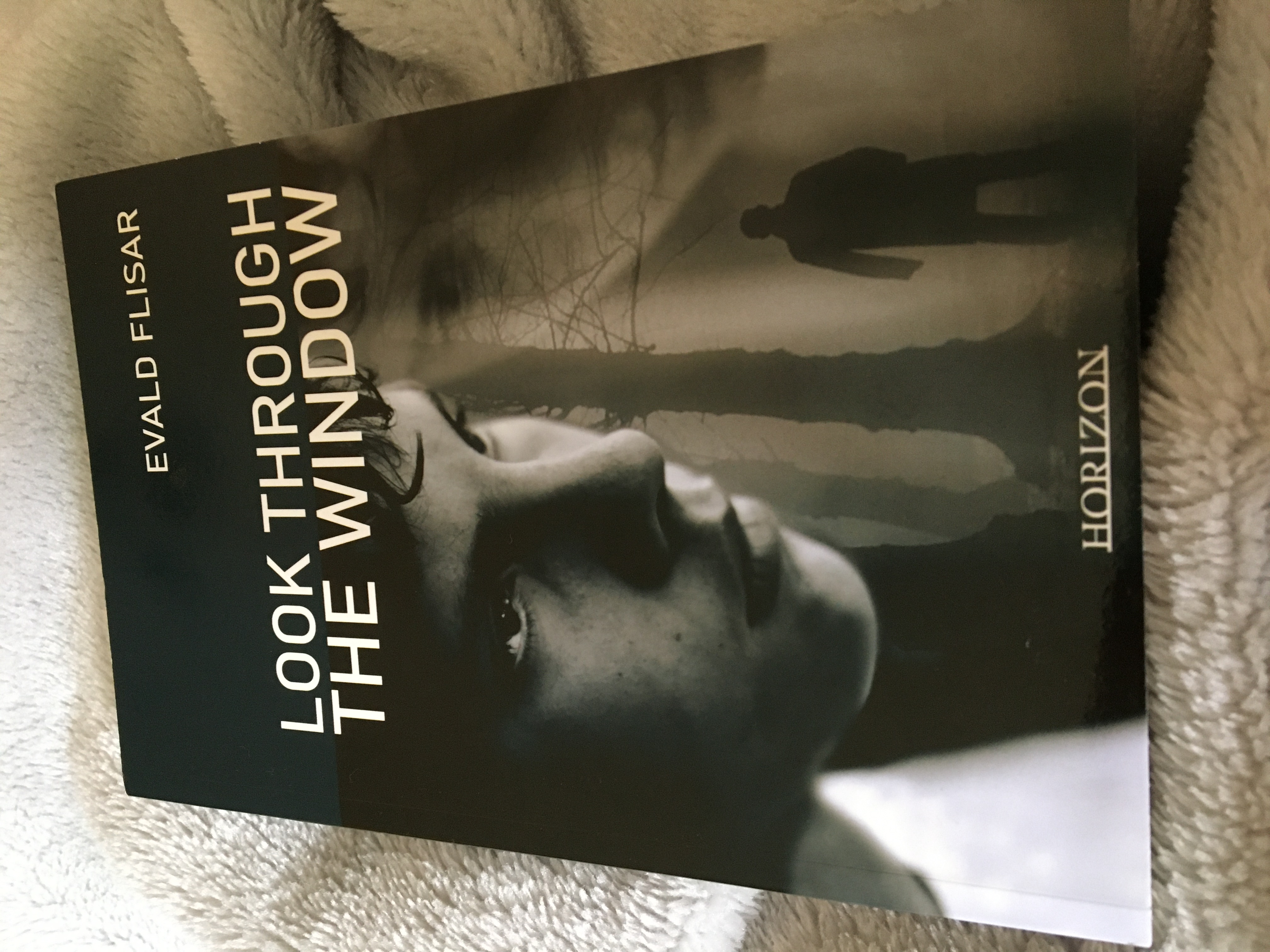 Look Through the Window by Evald Flisar | Goodreads