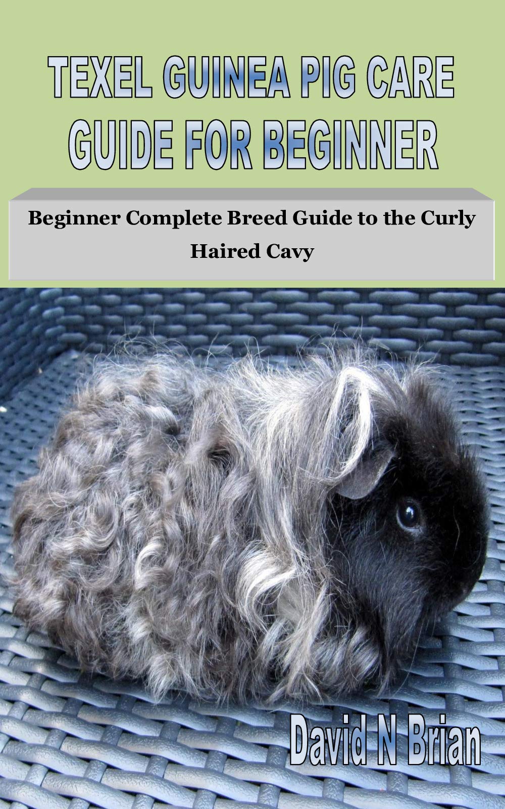 TEXEL GUINEA PIG CARE GUIDE FOR BEGINNER: Beginner Complete Breed Guide ...