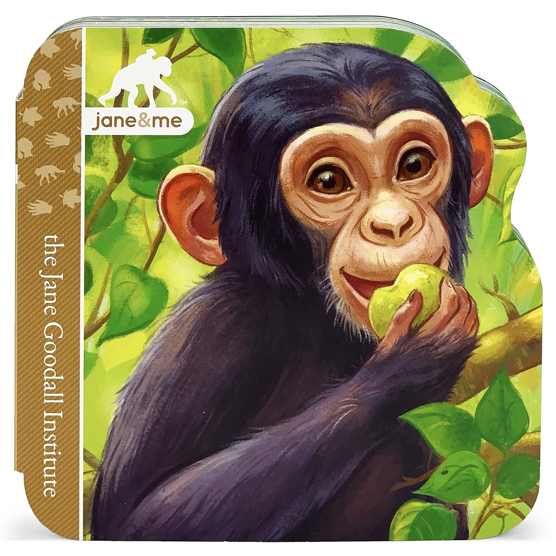 Jane Goodall Chimpanzees - Children's Lift-a-Flap Board Book for Babies ...