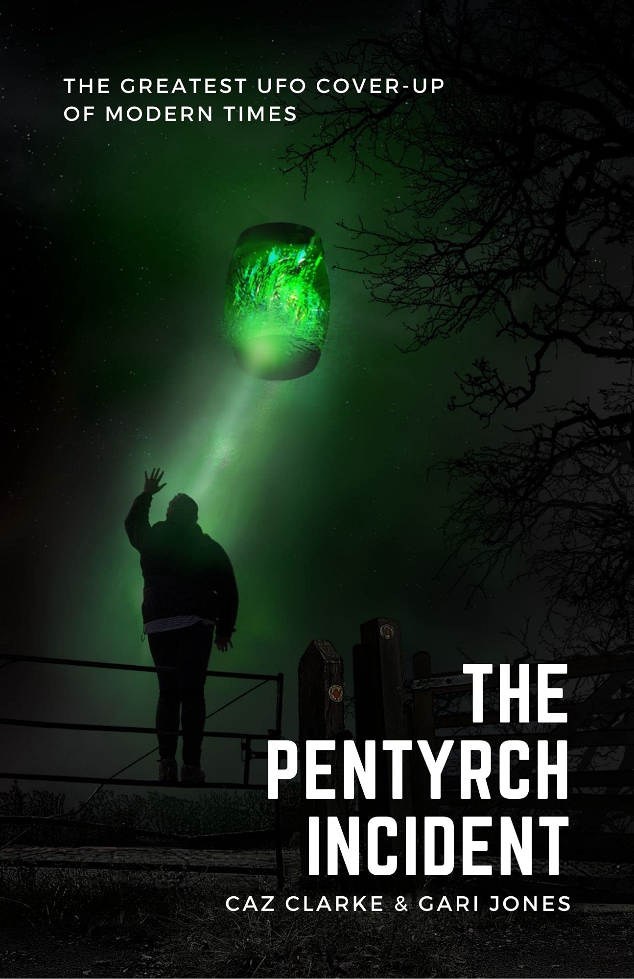 The Pentyrch Incident: The Greatest UFO Cover-up of Modern Times by Caz ...