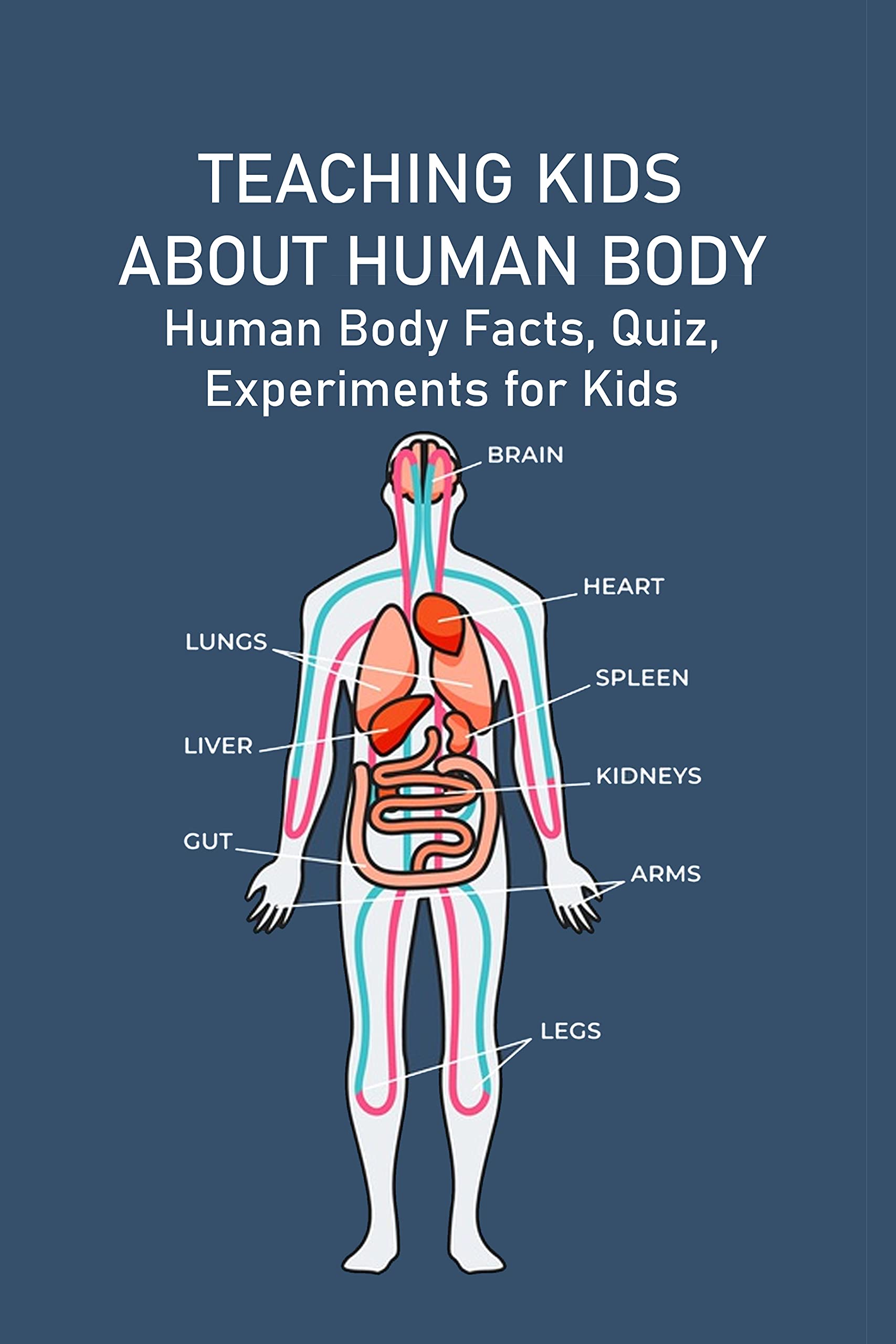Teaching Kids about Human Body: Human Body Facts, Quiz, Experiments for ...
