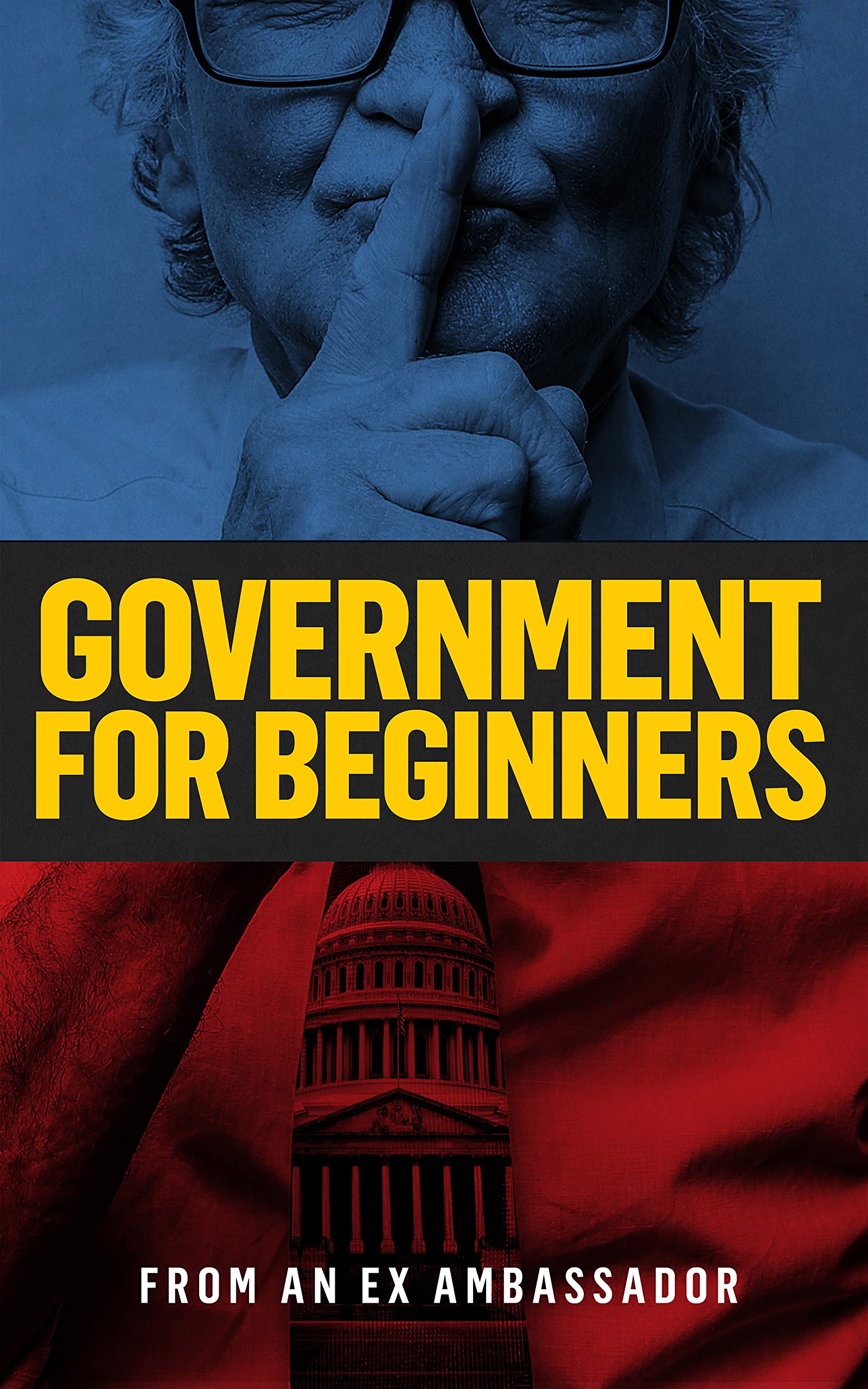 Government for beginners by Ex Ambassador | Goodreads