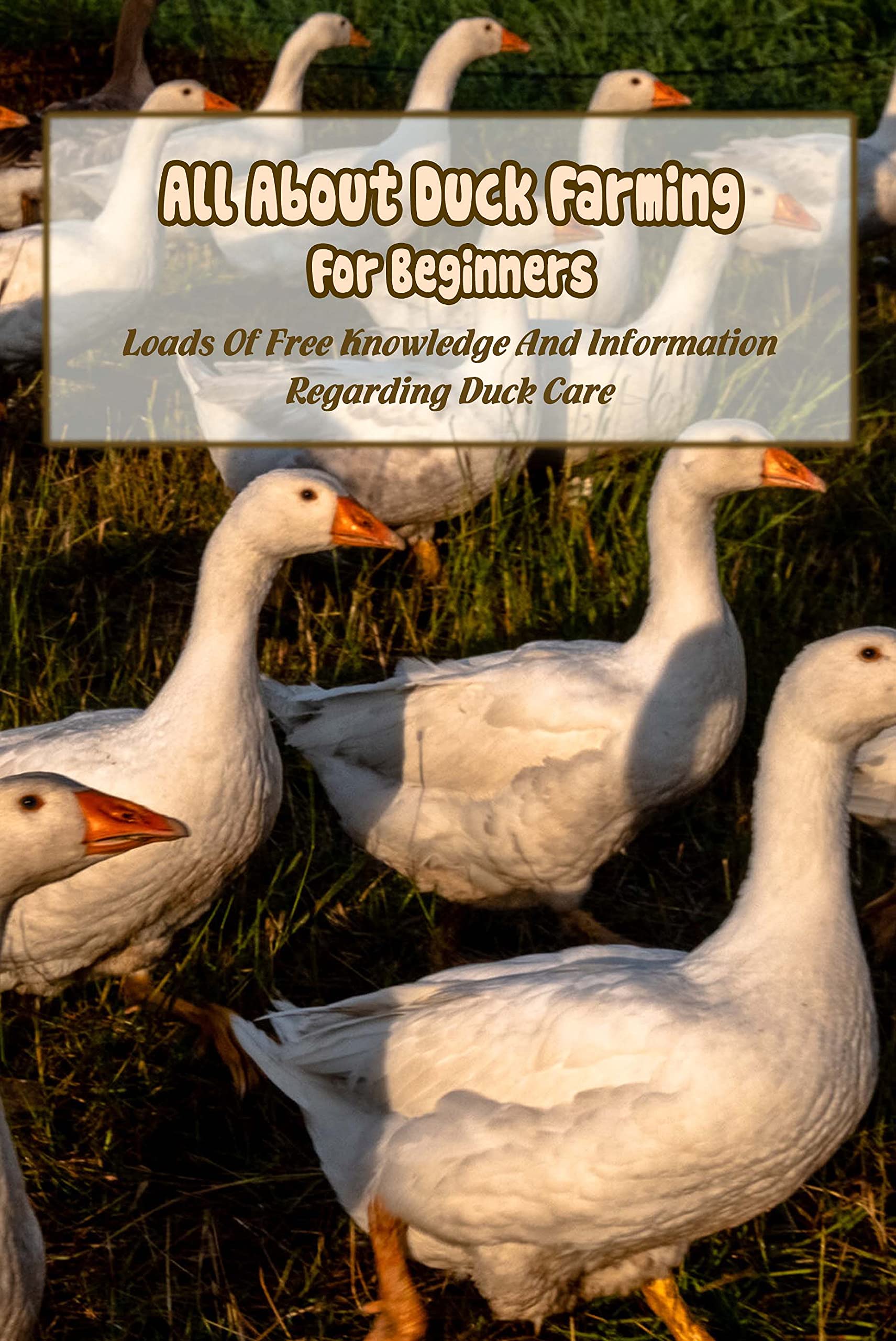 All About Duck Farming For Beginners: Loads Of Free Knowledge And ...