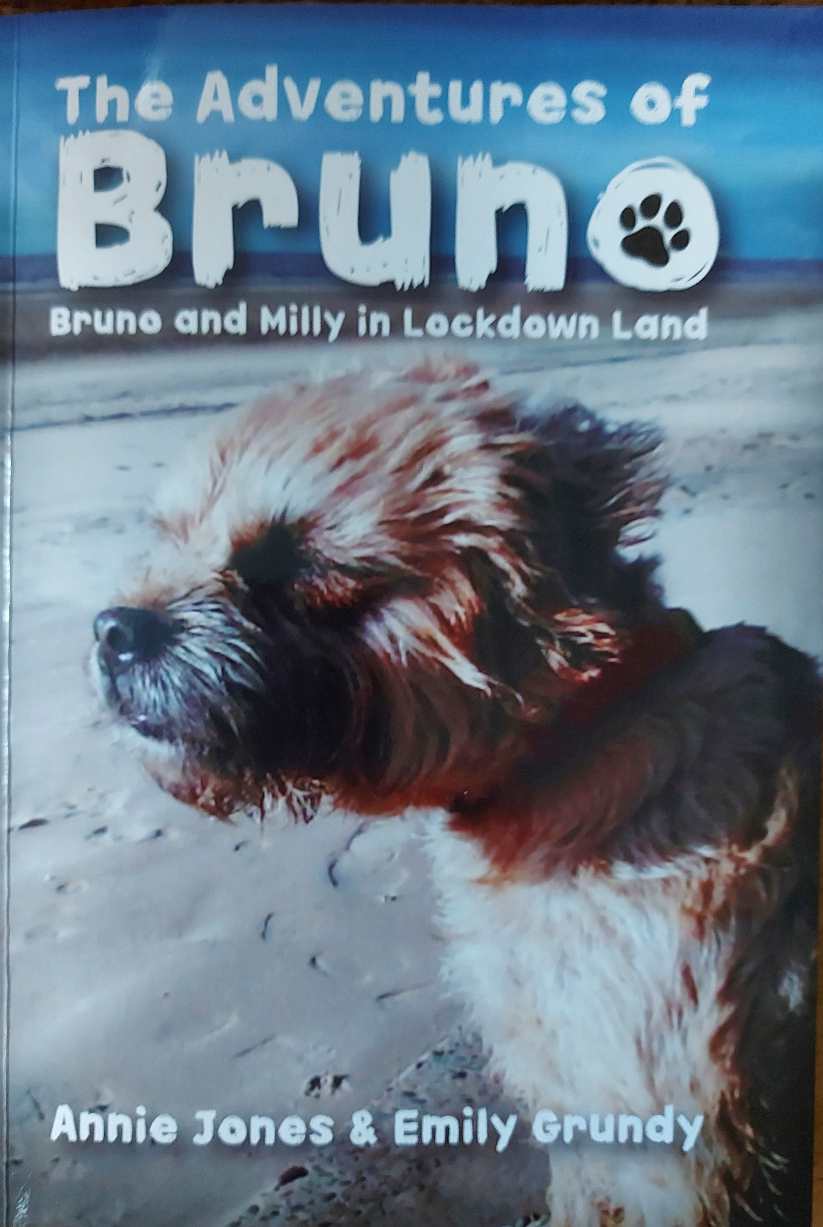 The Adventures of Bruno: Bruno and Milly in Lockdown Land by Hattie ...