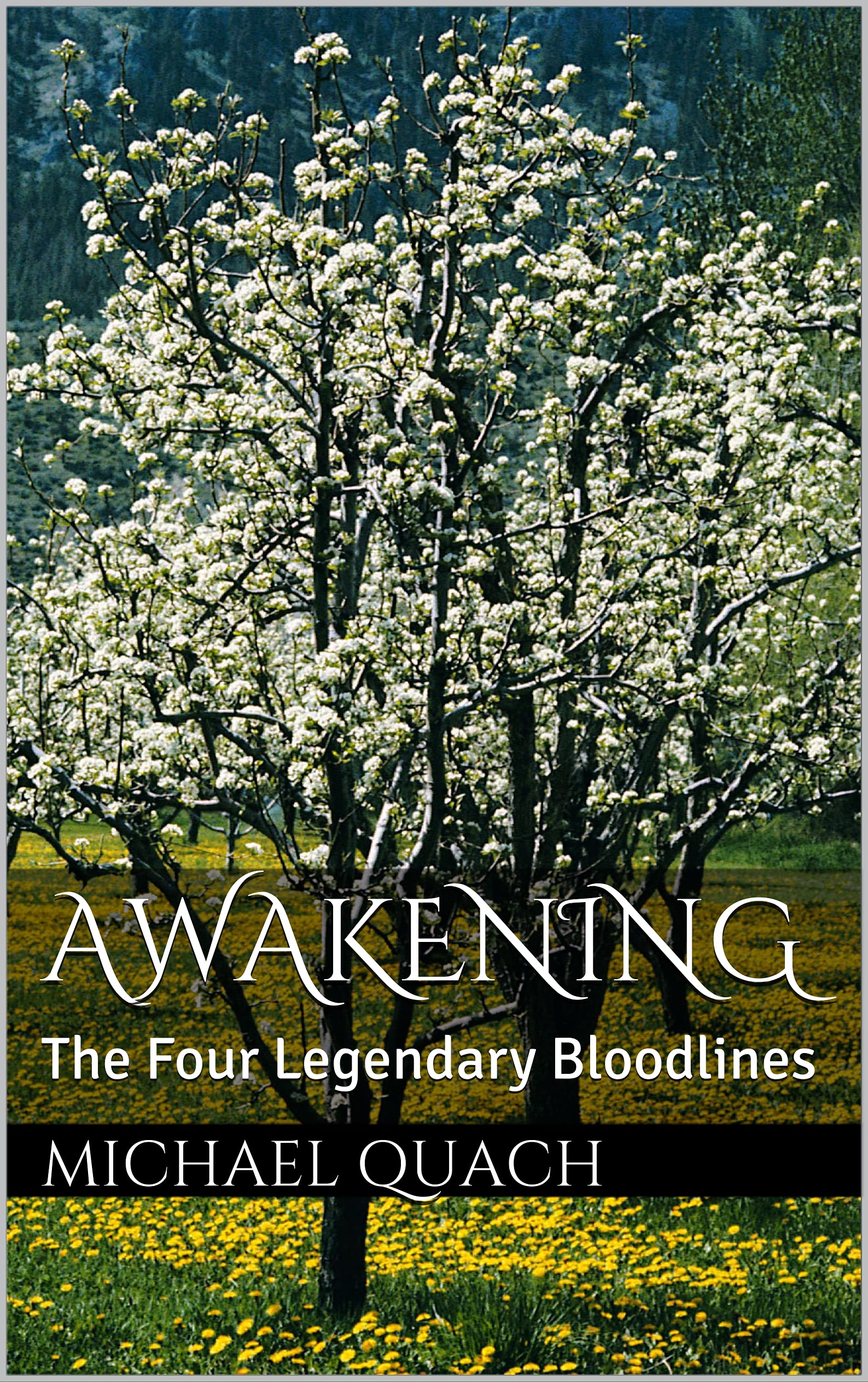 Awakening: The Four Legendary Bloodlines by Michael Quach | Goodreads
