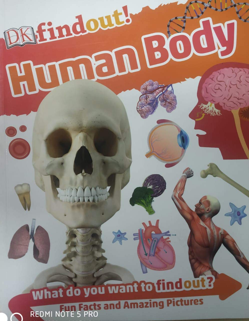 Dk Findout ! Human Body by Na | Goodreads