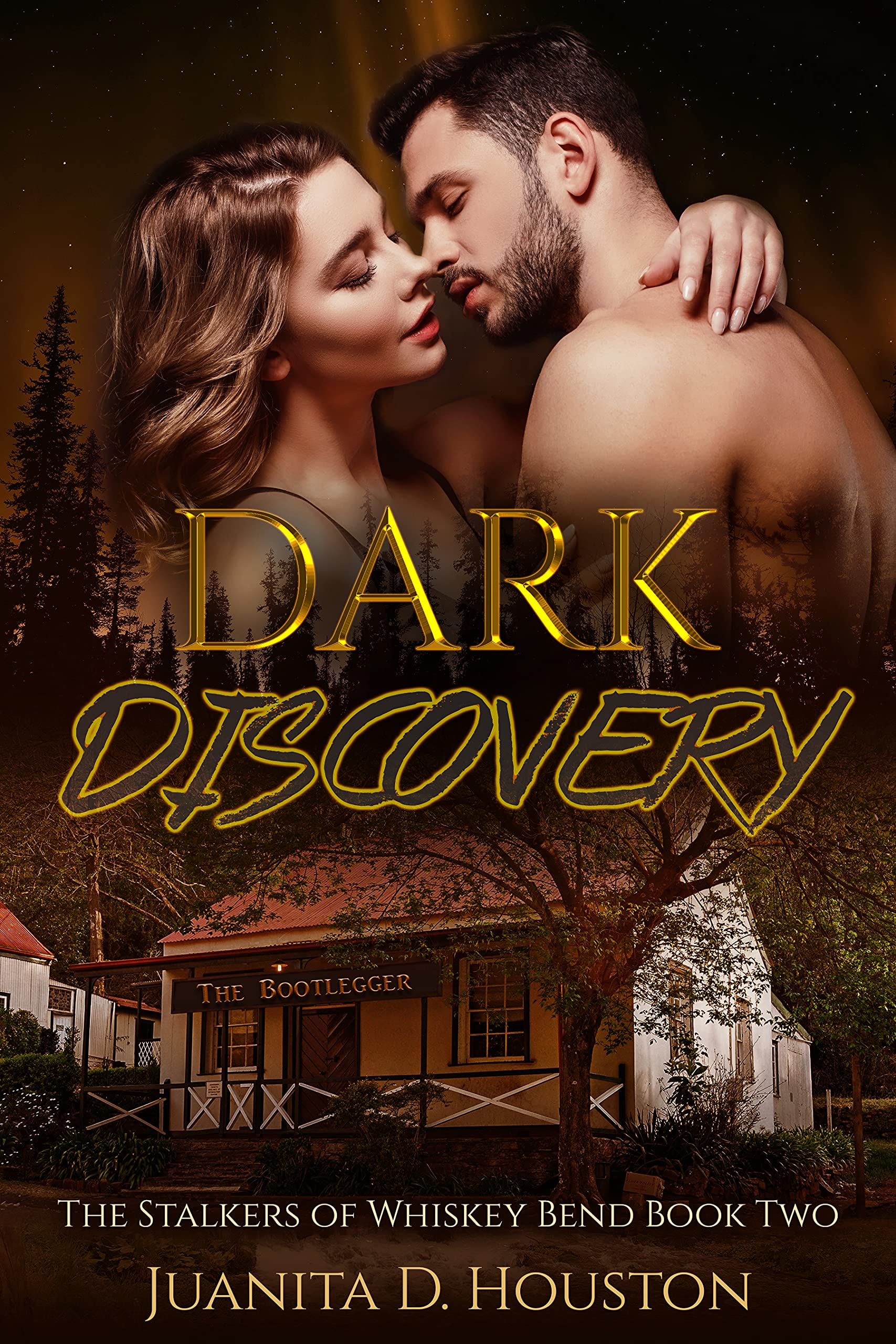 Dark Discovery by Juanita D. Houston | Goodreads