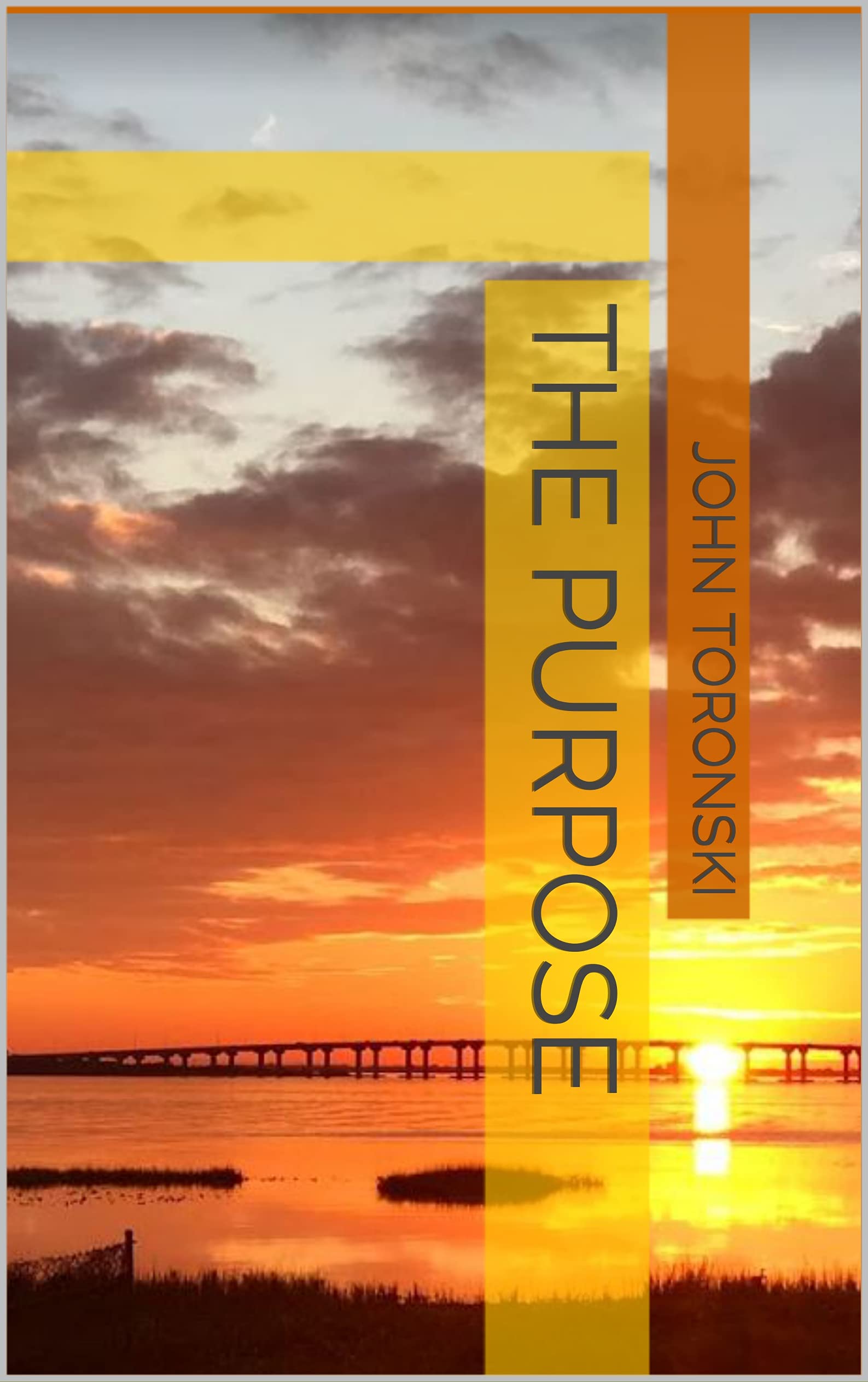 The Purpose by John Toronski | Goodreads