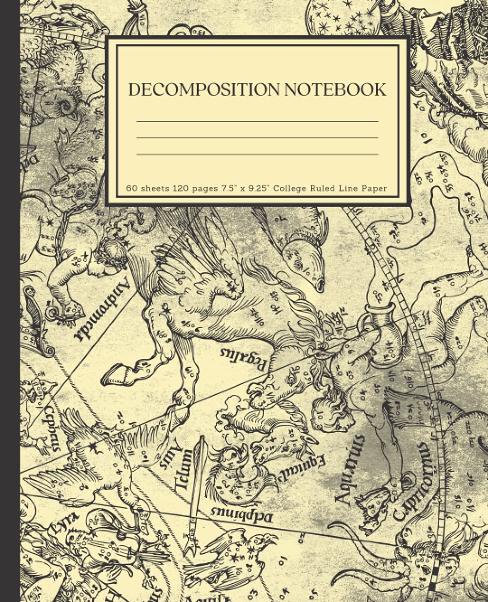 Decomposition Notebook: Astrology College Ruled Paper Journal for Home ...