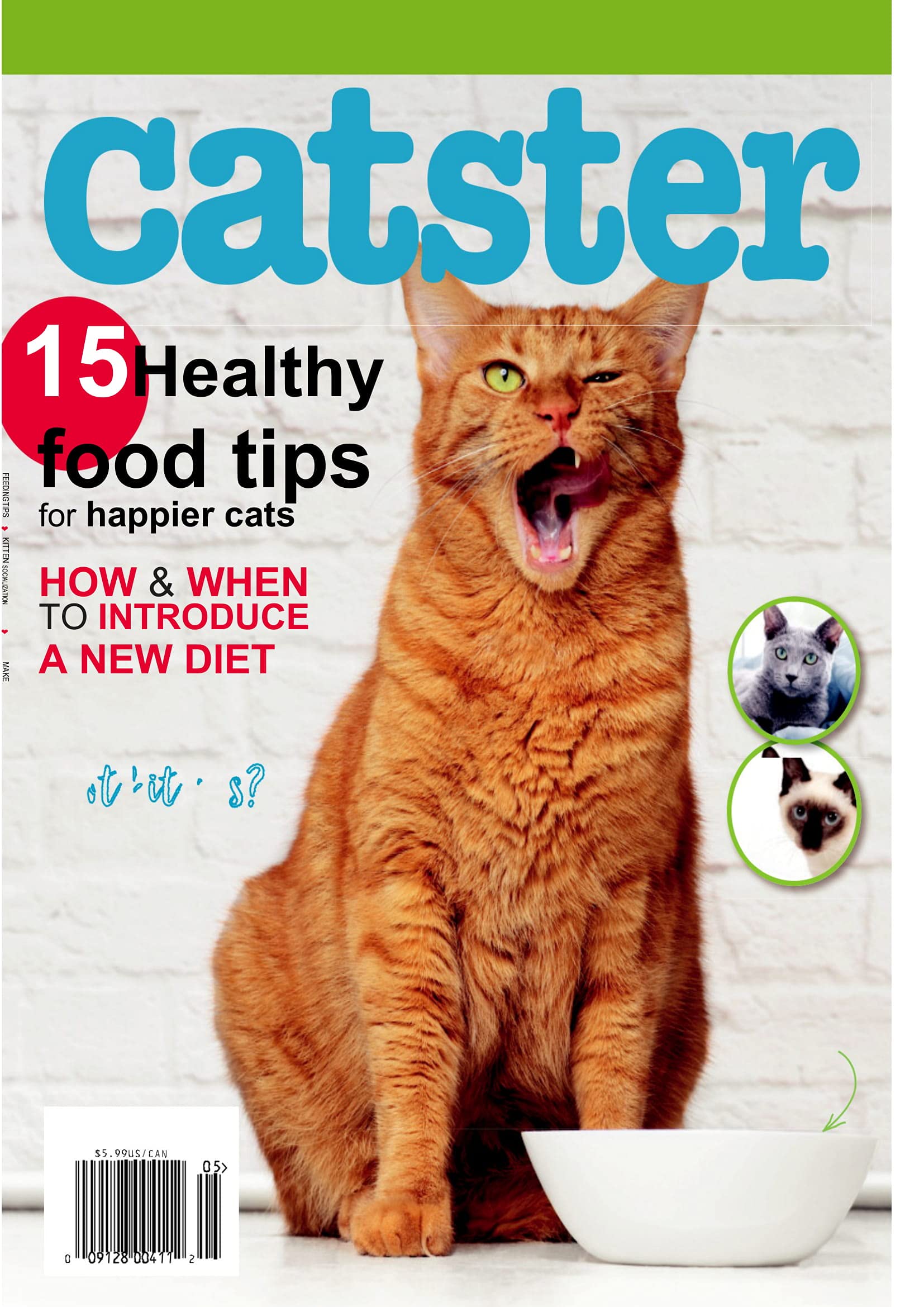 15 Healthy food tips for happier cats by Maxence Moreau | Goodreads