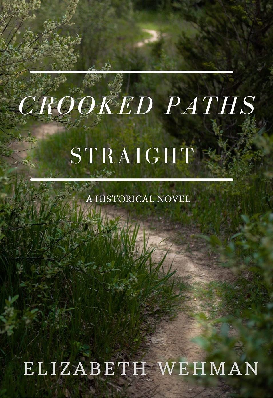 Crooked Paths Straight By Elizabeth Wehman Goodreads crooked-paths-straight-by-elizabeth-wehman-goodreads