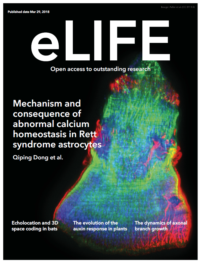 Tracking excess mortality across countries during the COVID-19 pandemic ...