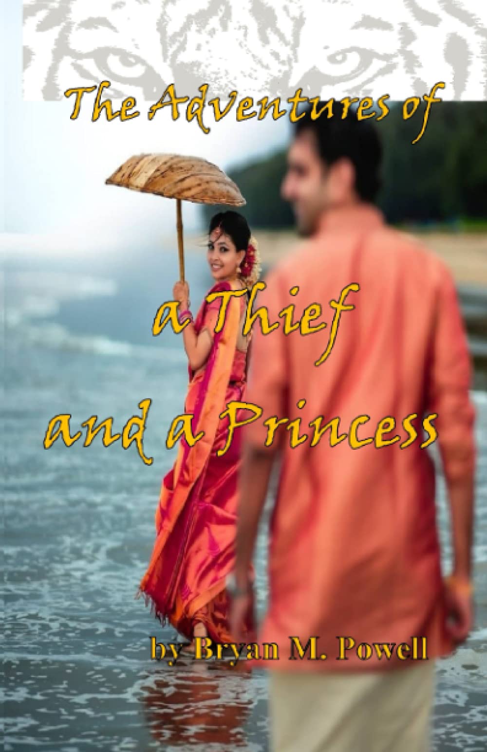 The Adventures of a Thief and a Princess by Bryan M. Powell | Goodreads