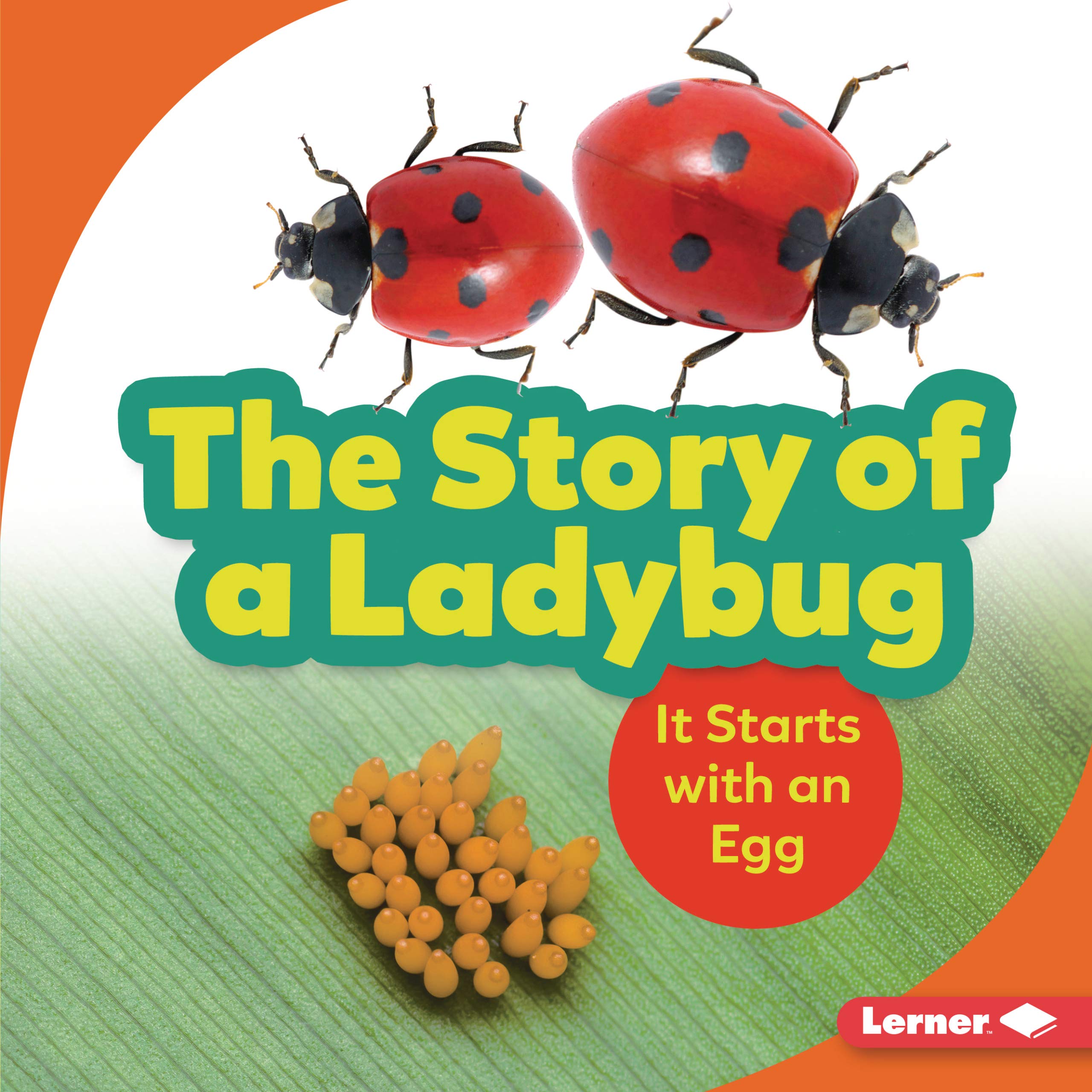 The Story of a Ladybug by Lisa Owings | Goodreads