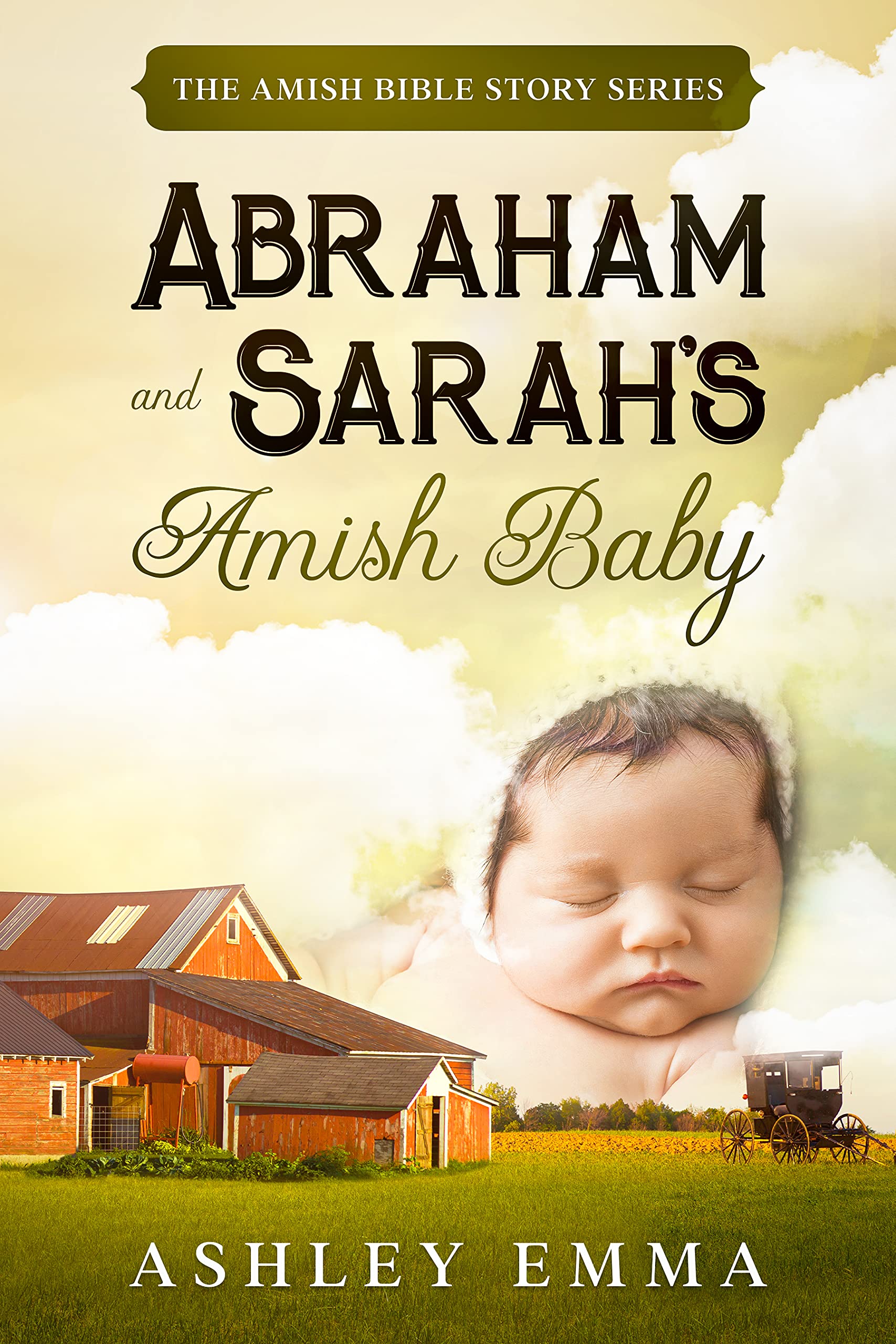 Abraham and Sarah's Amish Baby: The Amish Bible Story Series, book 1 by ...